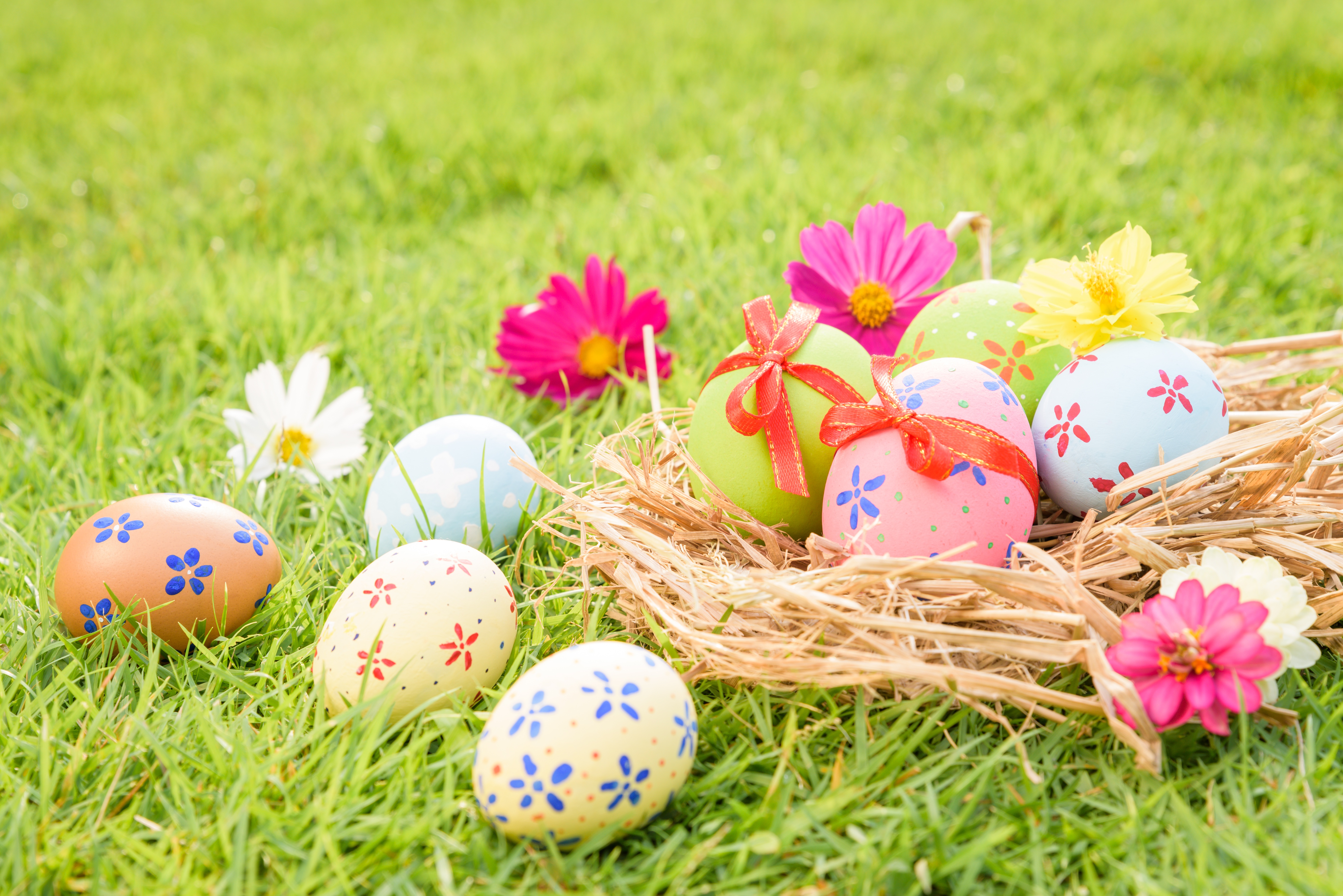 Download Flower Easter Egg Holiday Easter 4k Ultra HD Wallpaper