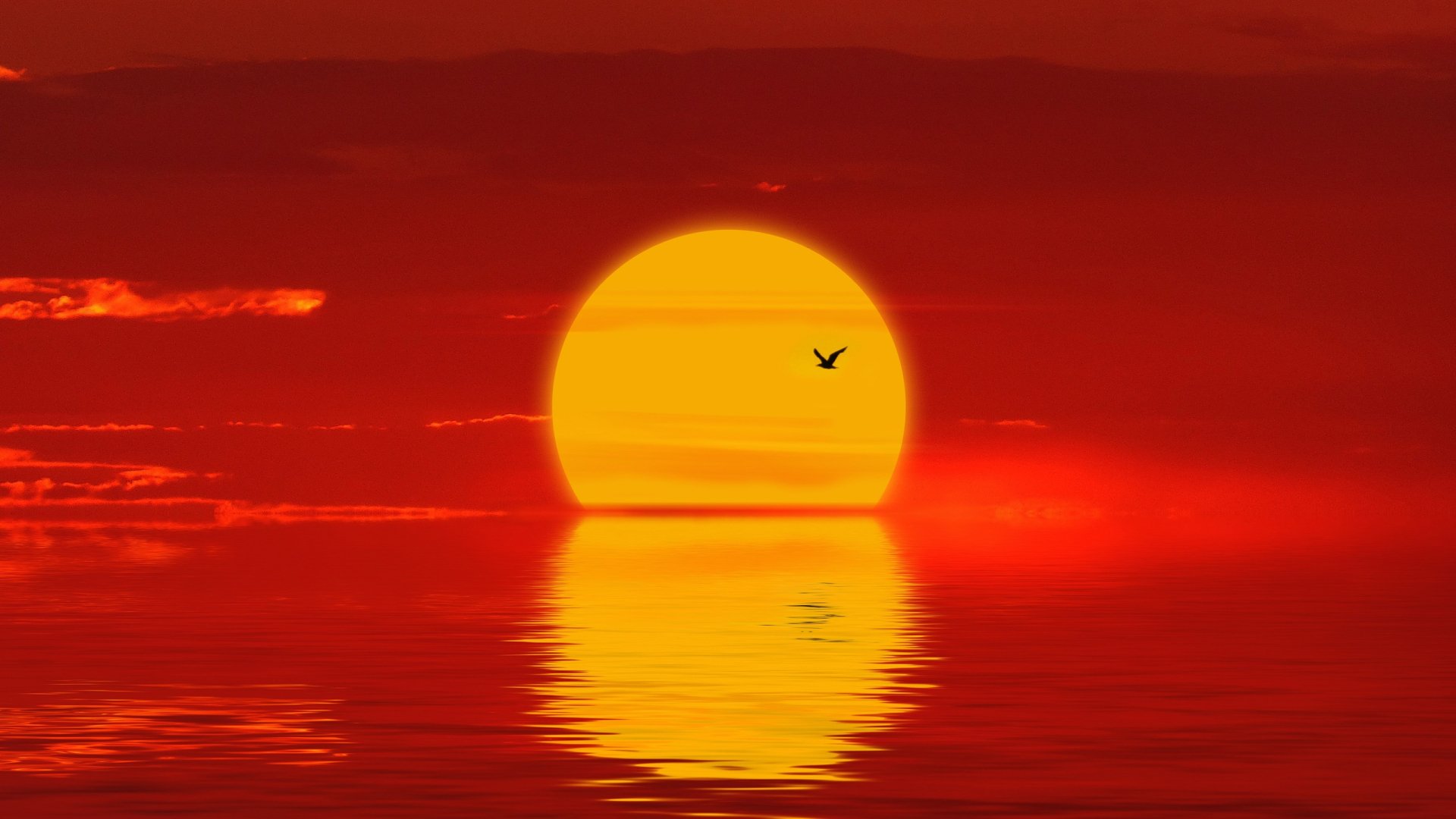 Sunset Serenade: Nature's Reflection in Stunning HD | 2560x1440 ...