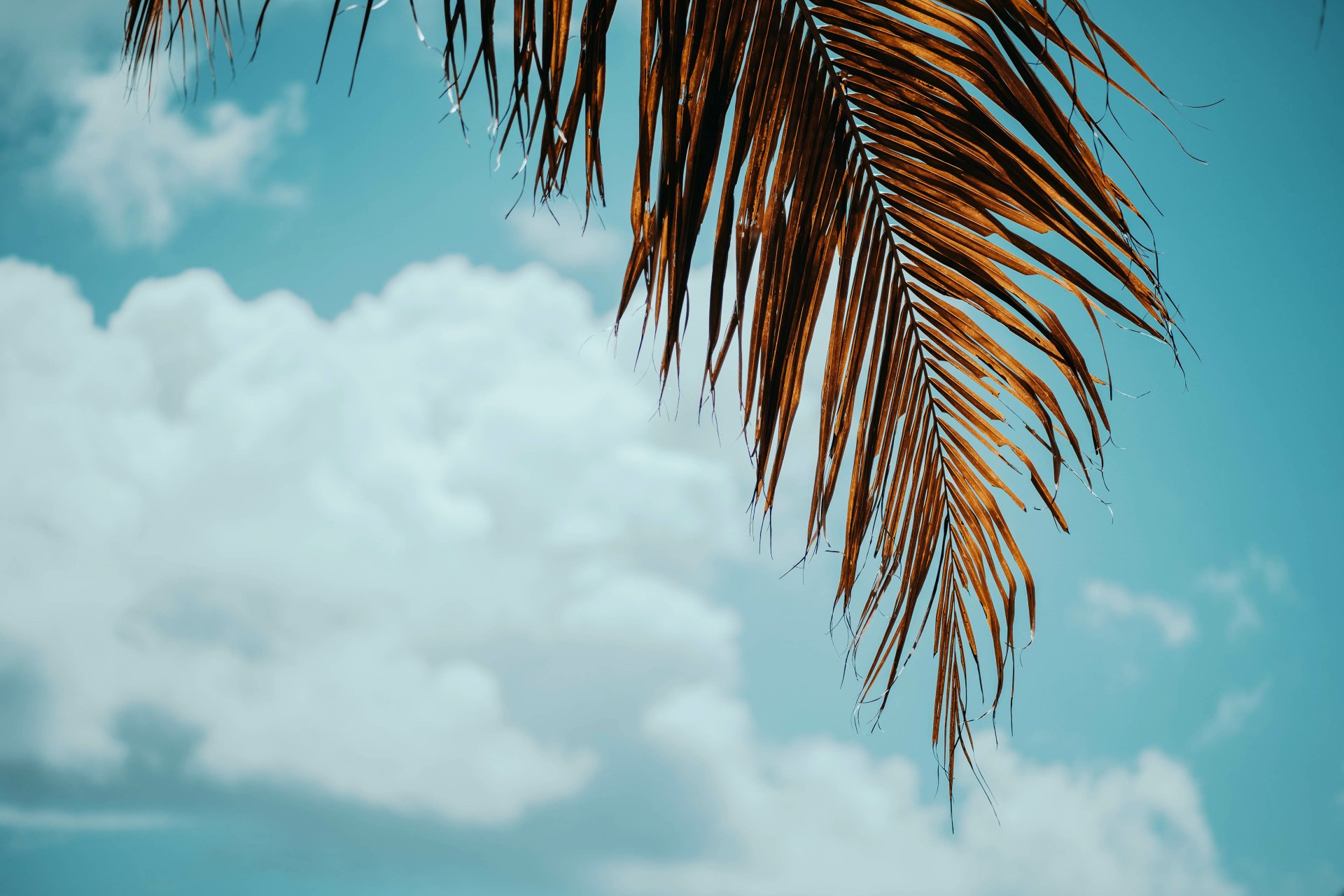 Download Nature Sky 4k Ultra HD Wallpaper | 4500x3000 | Wallpaper Abyss