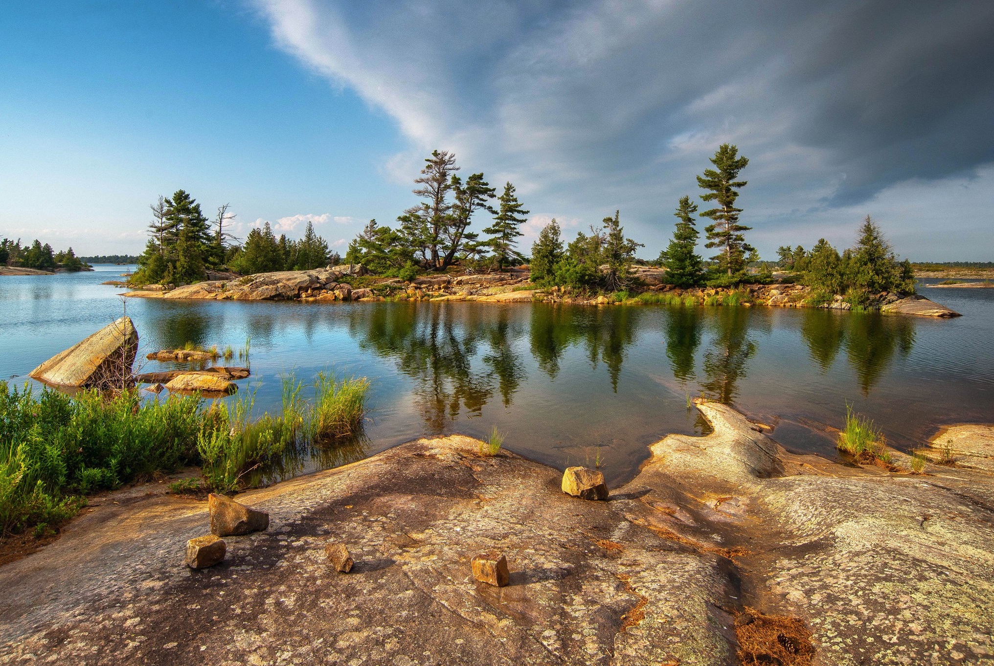 Download Tree Island Nature River HD Wallpaper by Dale Roddick