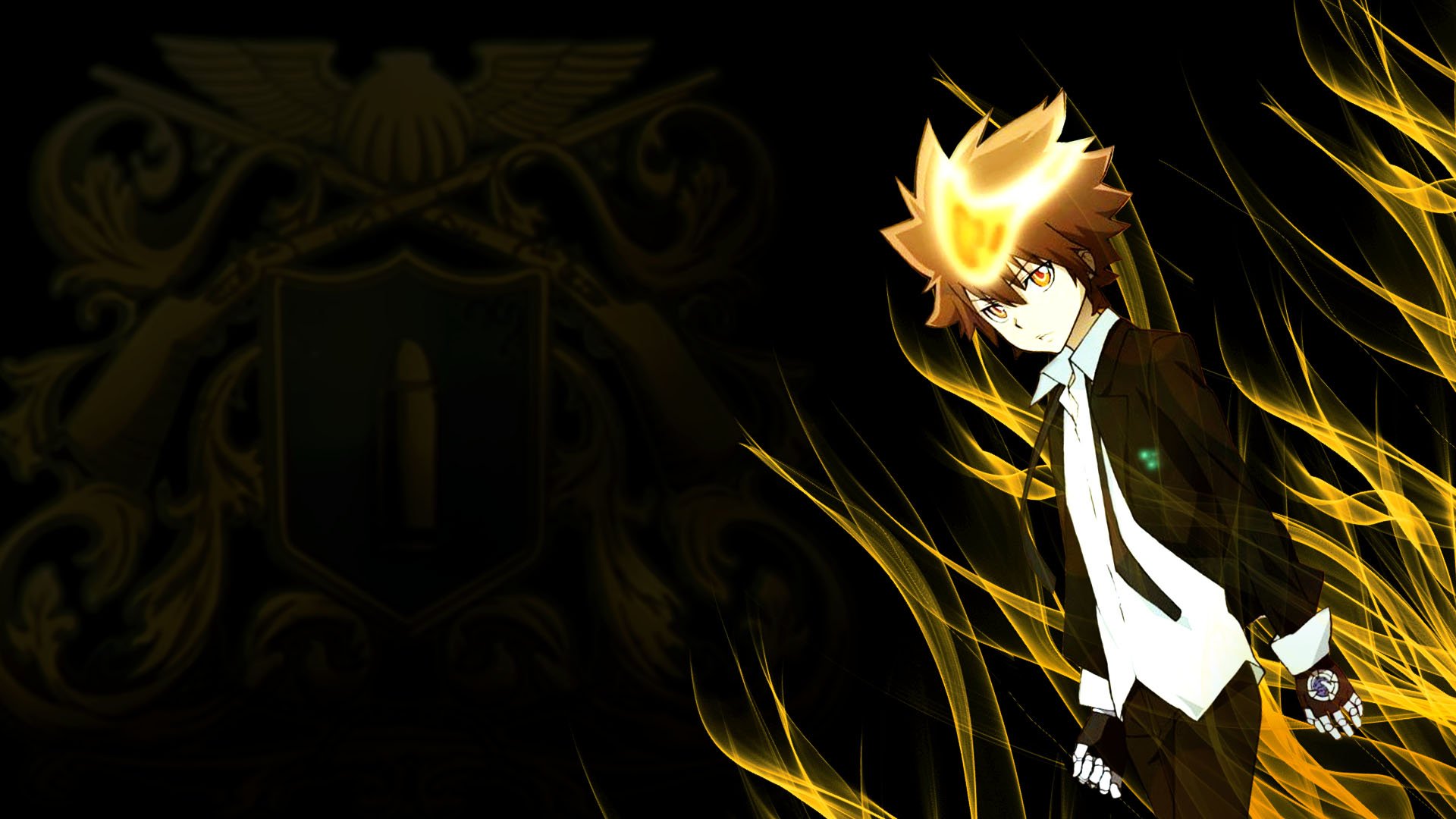 Download Hitman Reborn Tsunayoshi Sawada Anime Katekyō Hitman Reborn ...