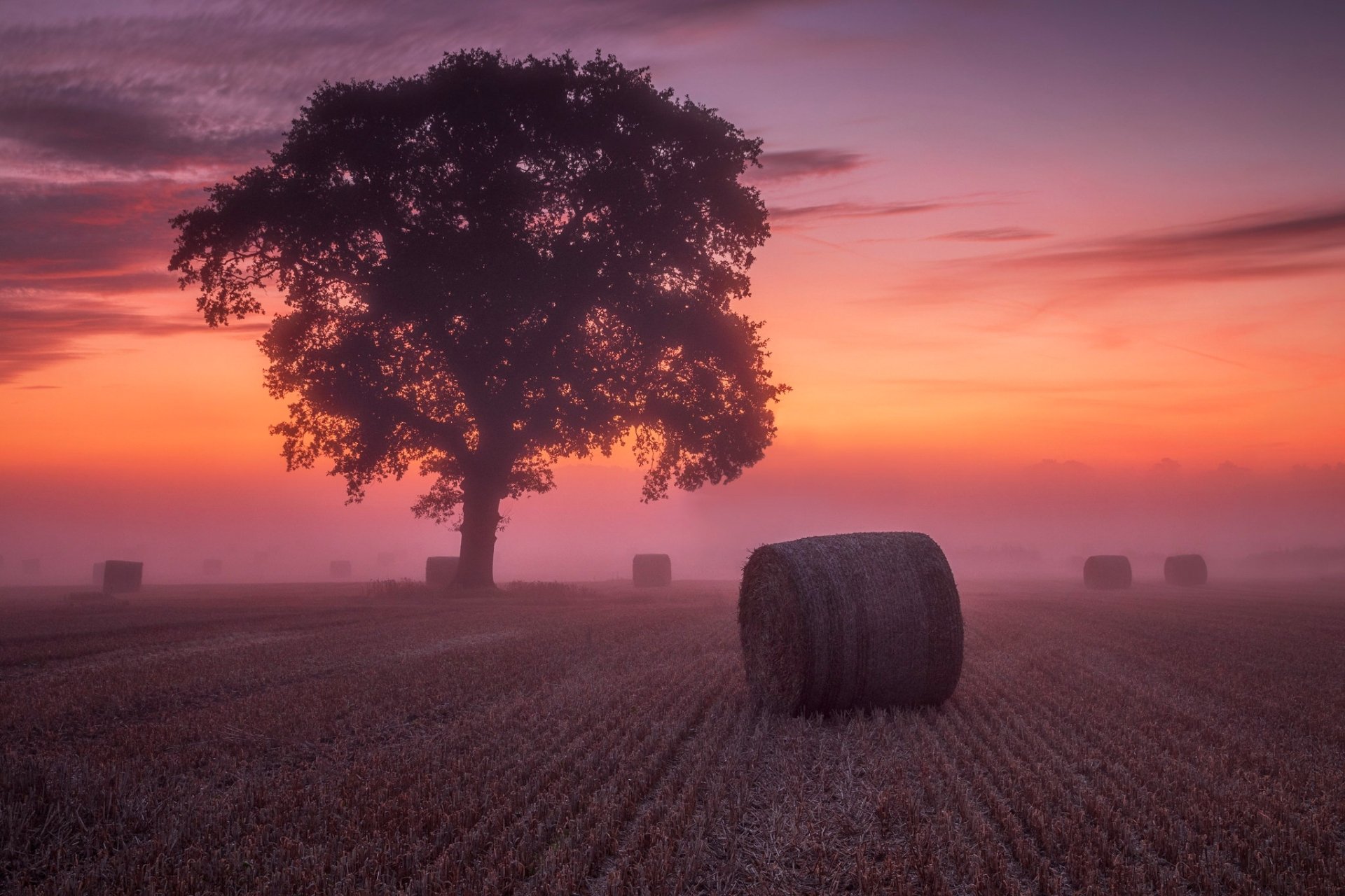 Sunset Silhouettes: Misty Field with Tree and Haystacks HD Wallpaper
