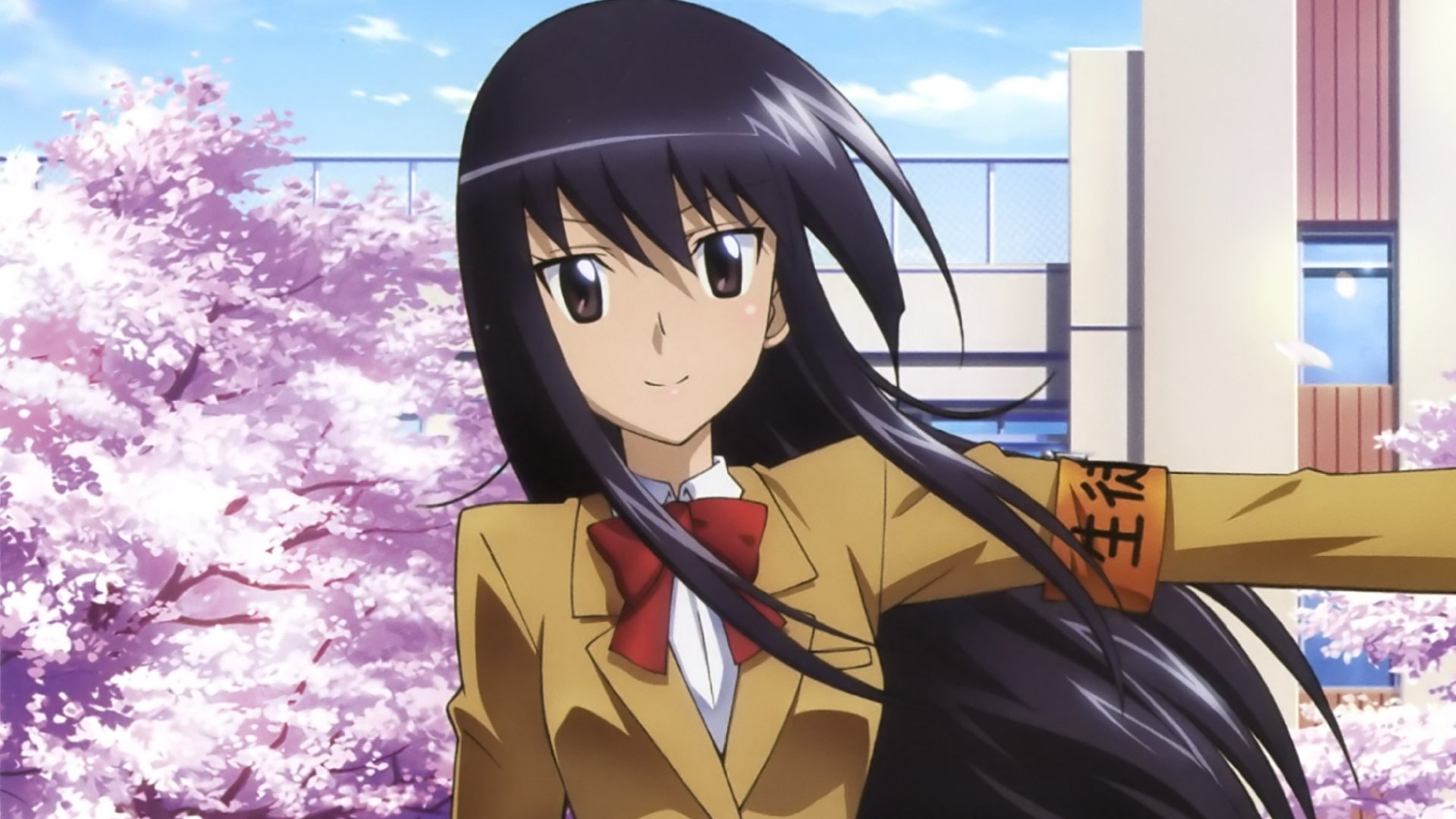 Download Shino Amakusa Anime Seitokai Yakuindomo HD Wallpaper