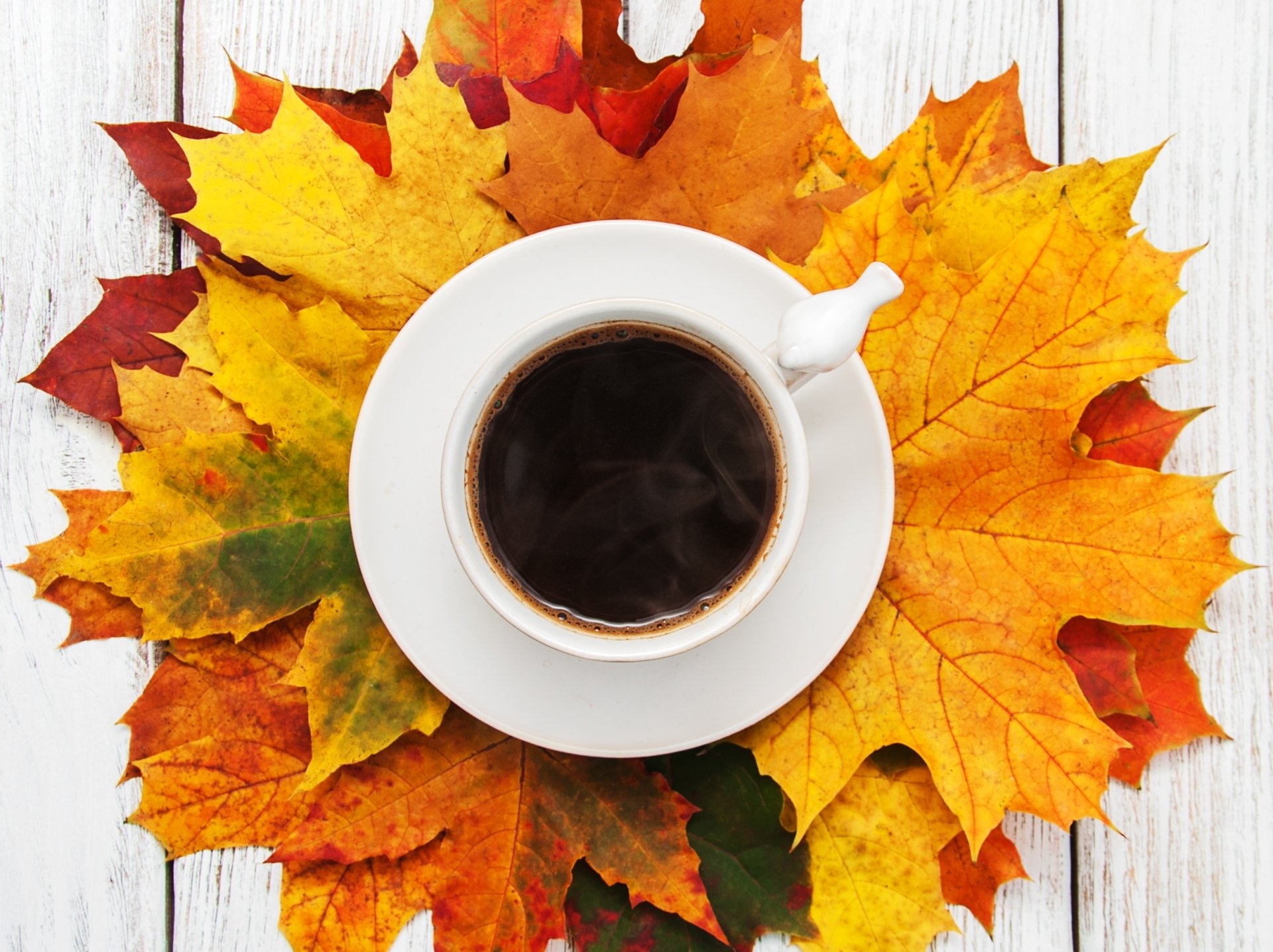 Autumn Leaves And Coffee Cup — Hd Wallpaper 2457x1838 Wallpaper Abyss 3937