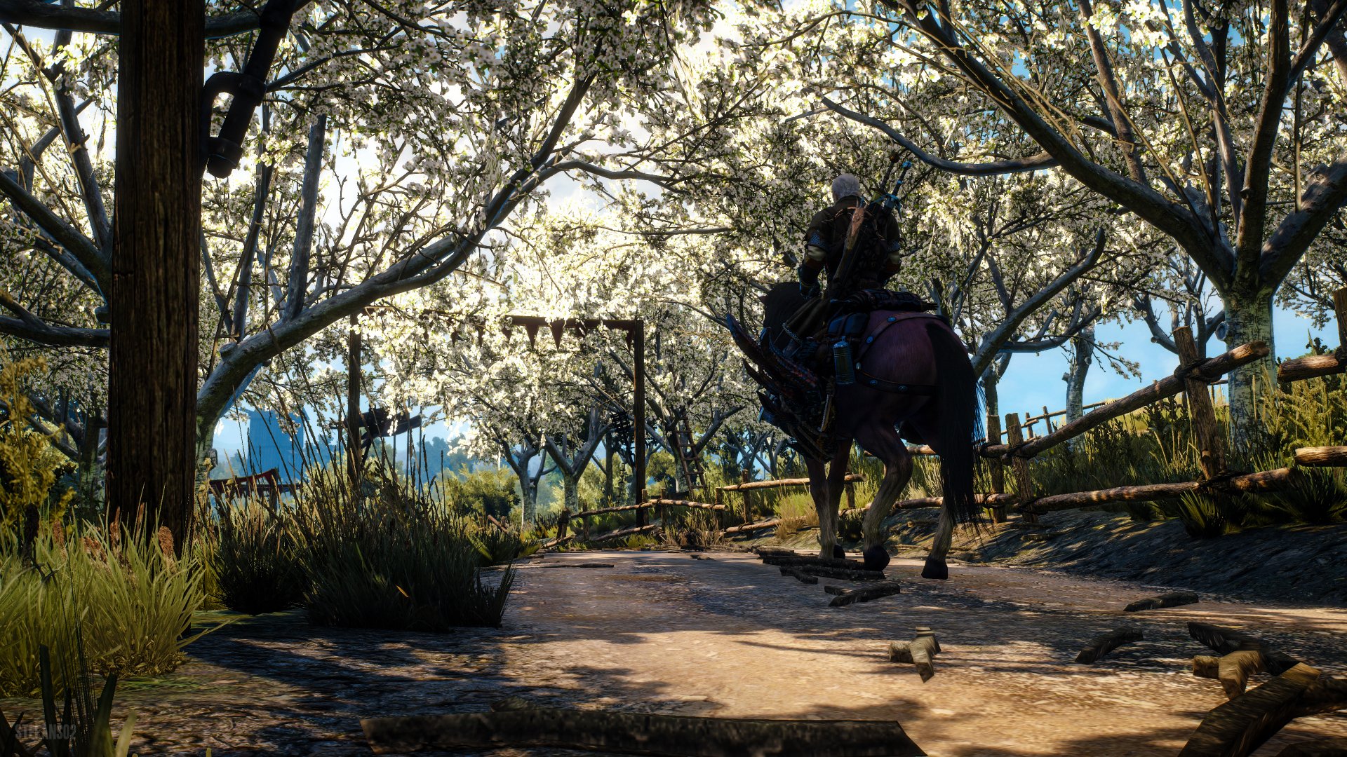 The Witcher 3: Wild Hunt / White Blossom by StefanS02