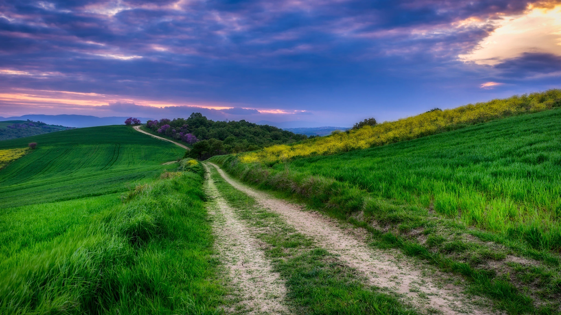 Download Landscape Man Made Path HD Wallpaper