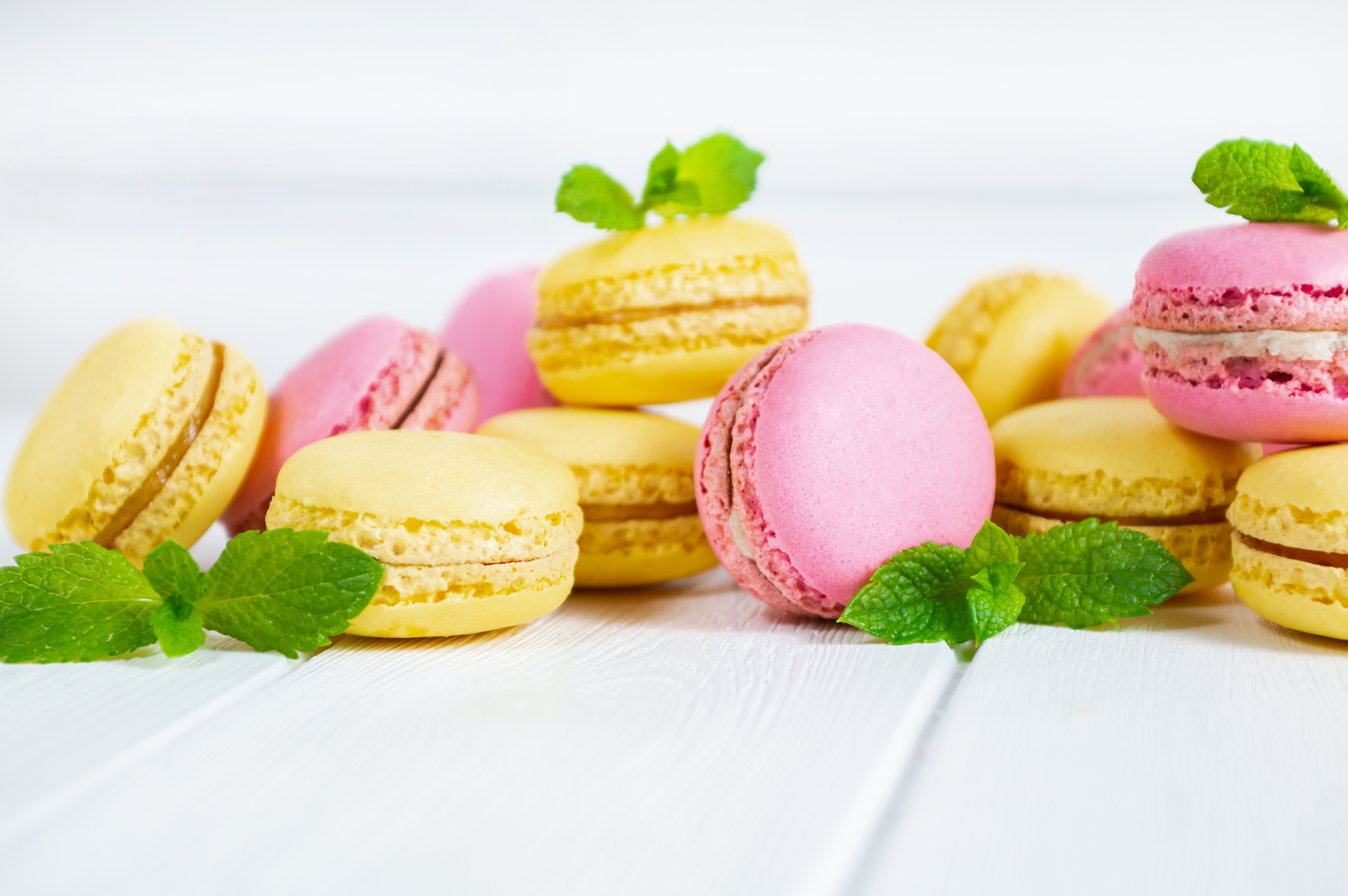 Download Sweets Food Macaron 4k Ultra HD Wallpaper