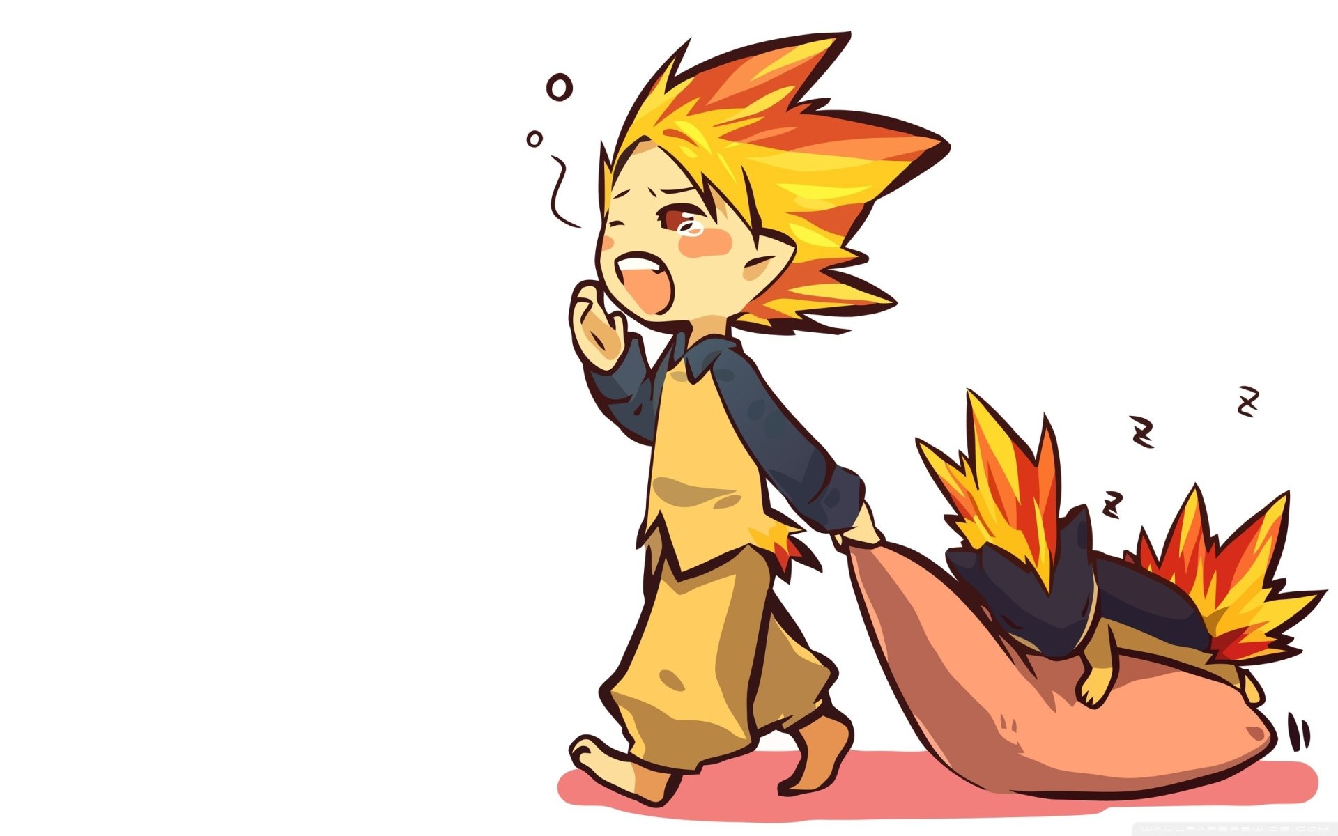 Download Quilava (Pokémon) Anime Pokemon HD Wallpaper by hitec