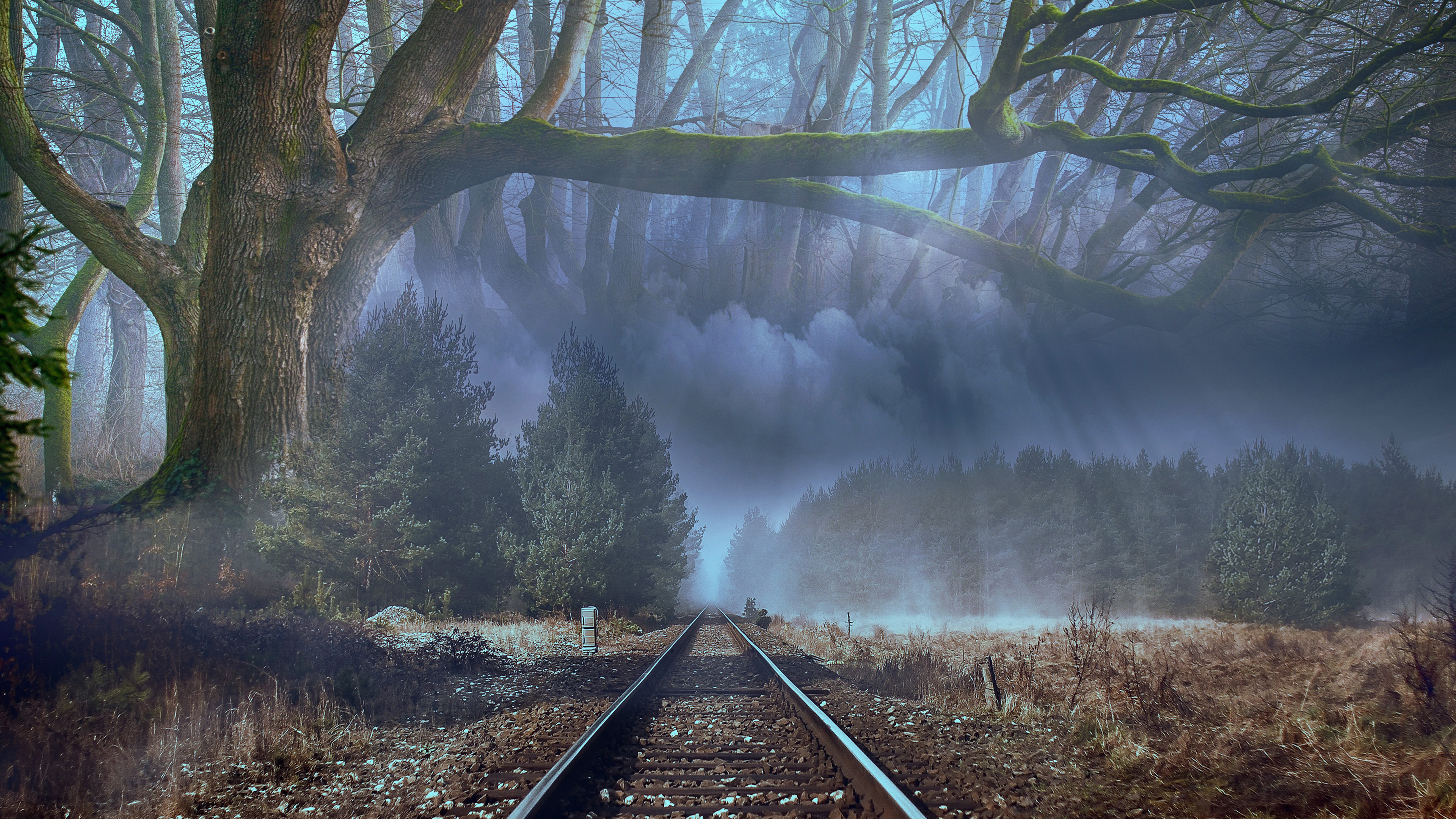 Download Man Made Railroad 4k Ultra HD Wallpaper