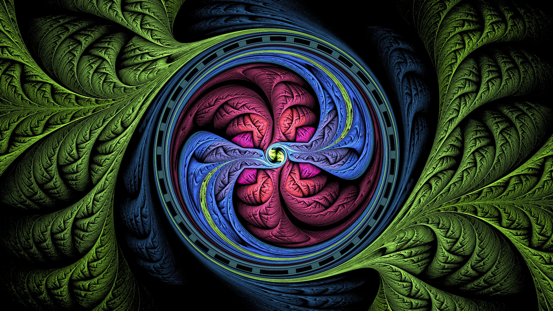 Download Swirl Circle Colors Abstract Fractal HD Wallpaper