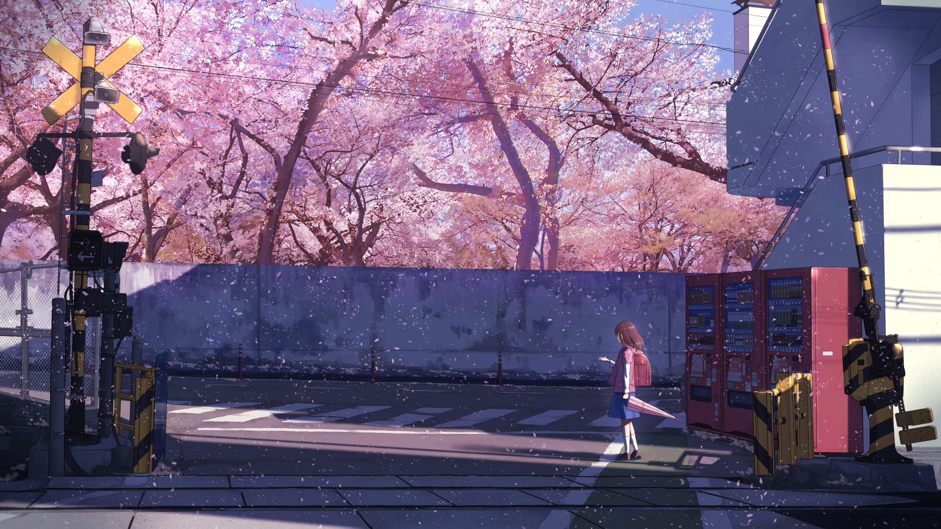 Wallpaper 1920x1080 City Sakura