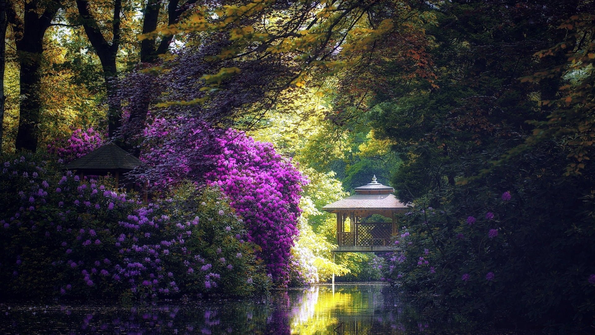 Spring Blossoms Surround a Serene Gazebo in a Lush Park Garden – HD ...
