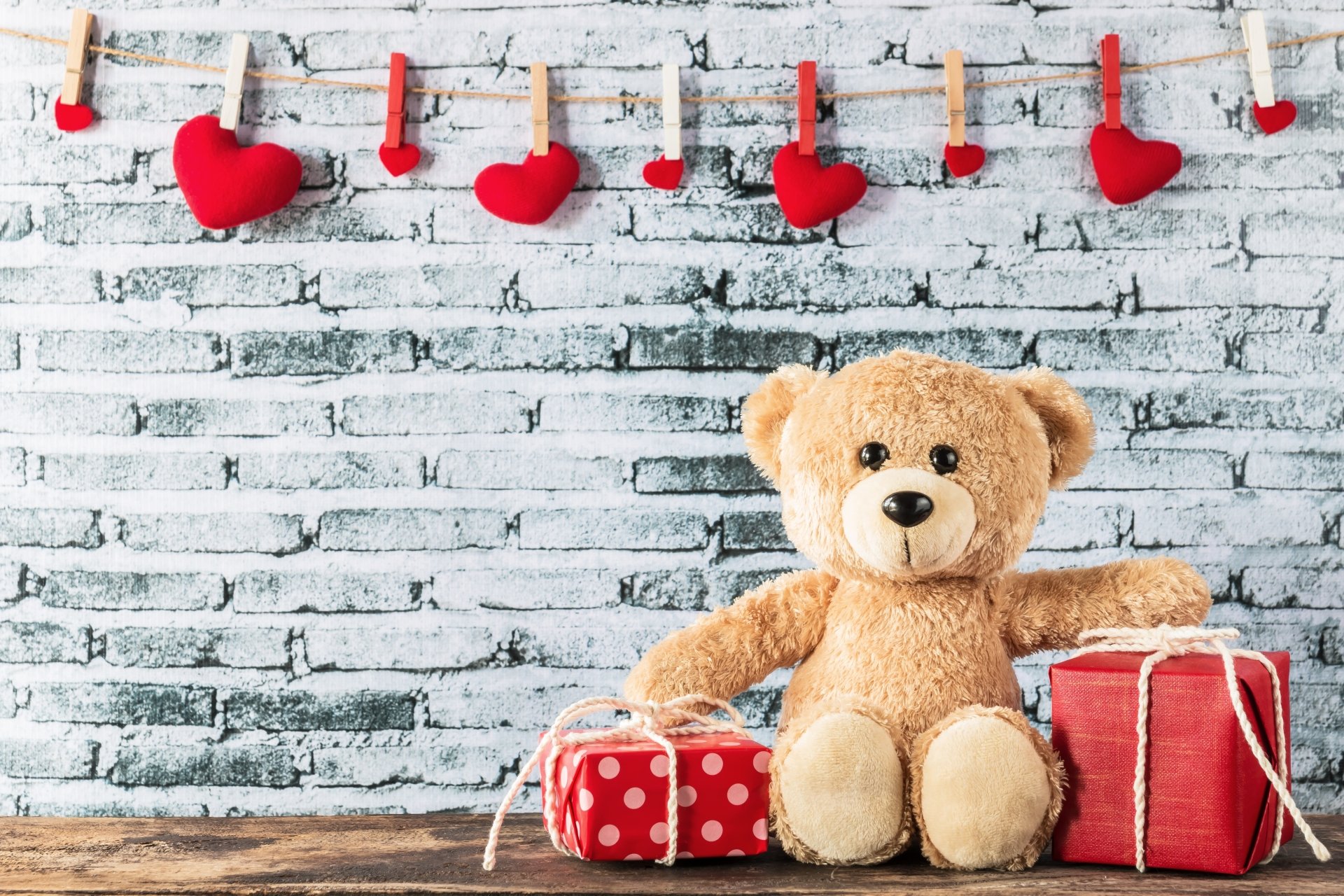 Download Still Life Teddy Bear Gift Man Made Stuffed Animal 4k Ultra HD ...