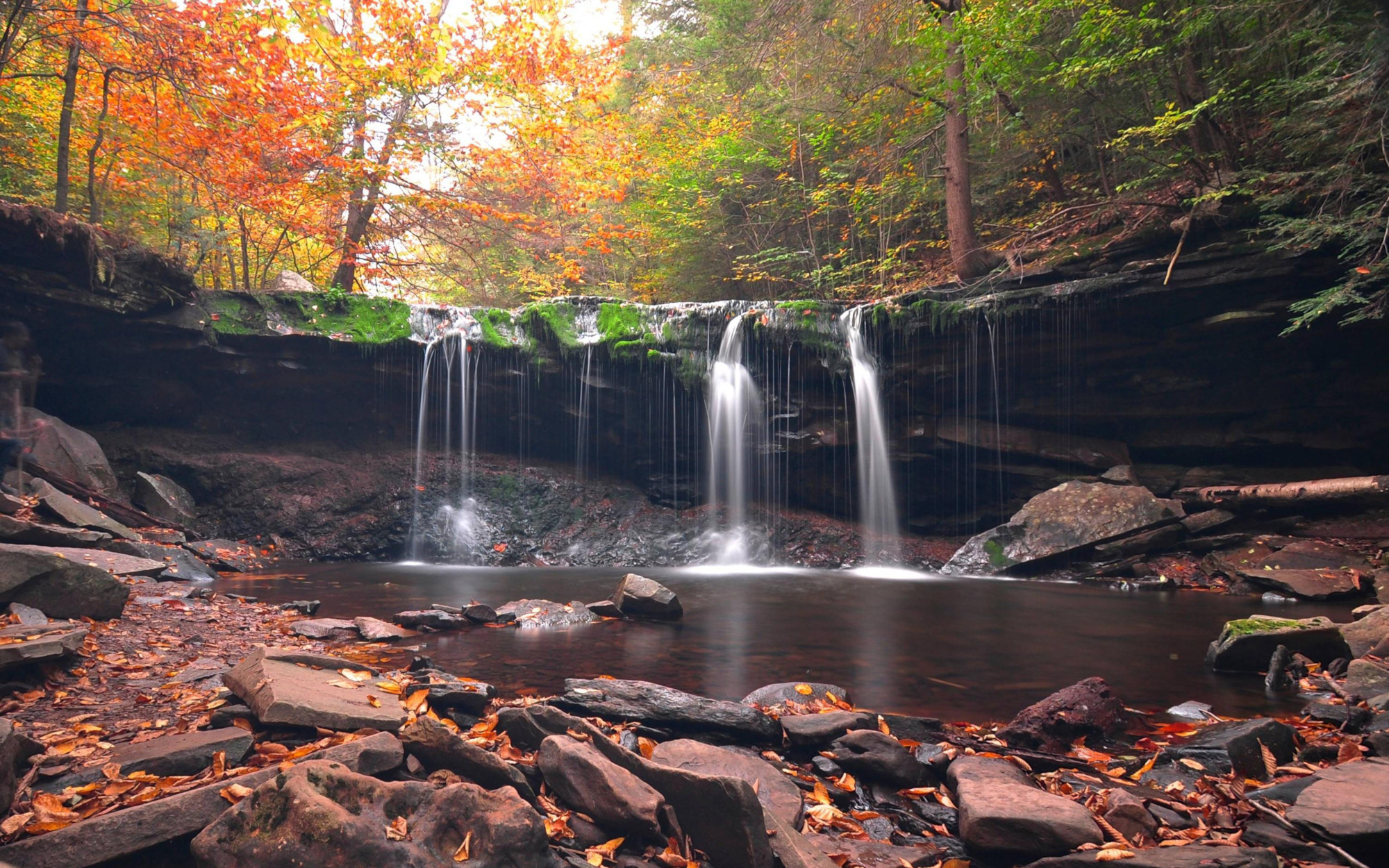 Download Nature Fall Waterfall HD Wallpaper
