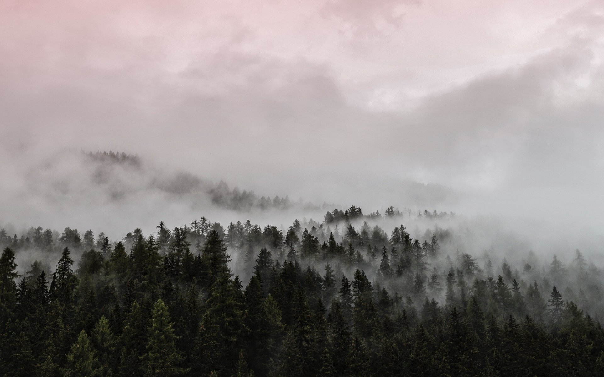 Download Nature Fog 4k Ultra HD Wallpaper