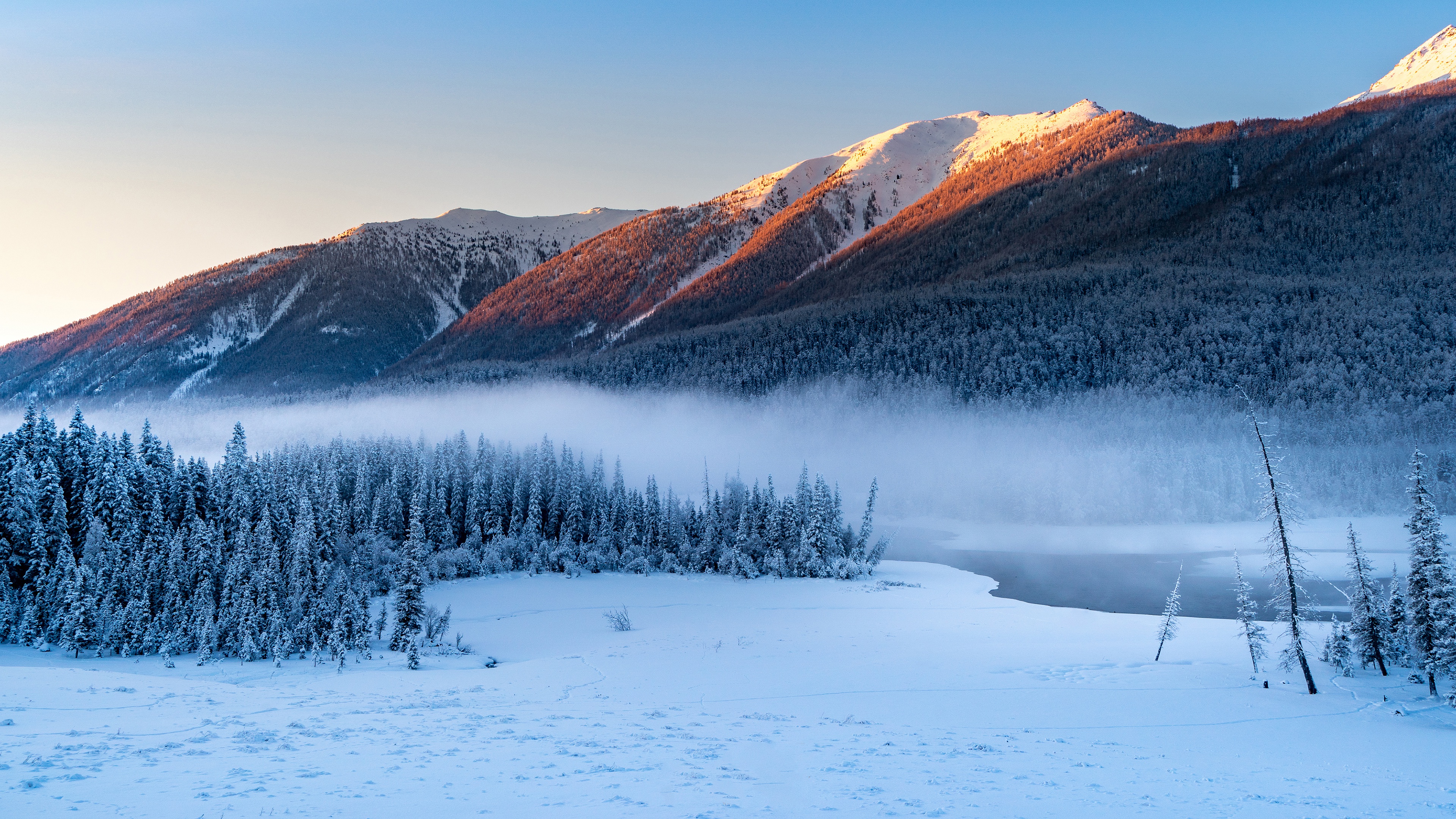 Download Snow Forest Winter Nature Mountain 4k Ultra HD Wallpaper