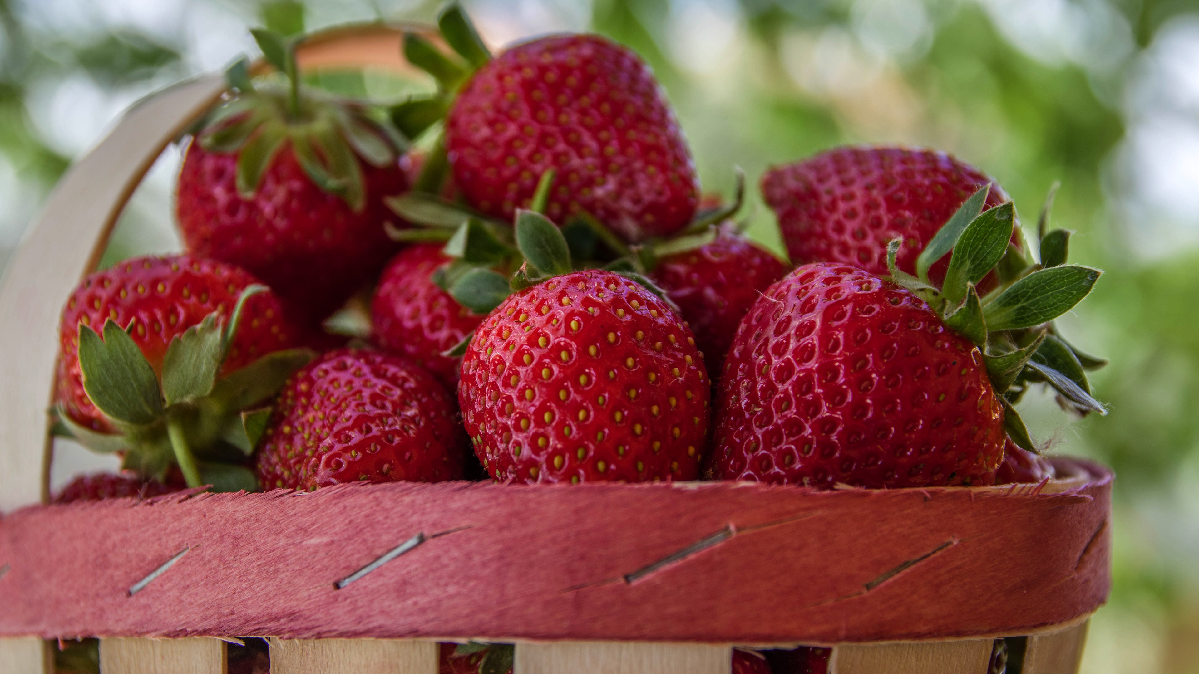 Strawberry 4k Ultra HD Wallpaper | Background Image | 3840x2160 | ID ...