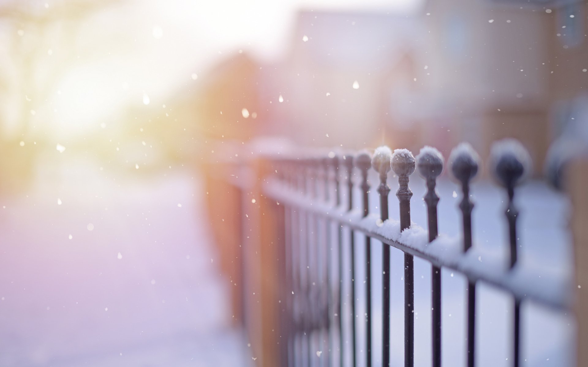 Download Snow Man Made Fence HD Wallpaper | 1920x1200 | Wallpaper Abyss