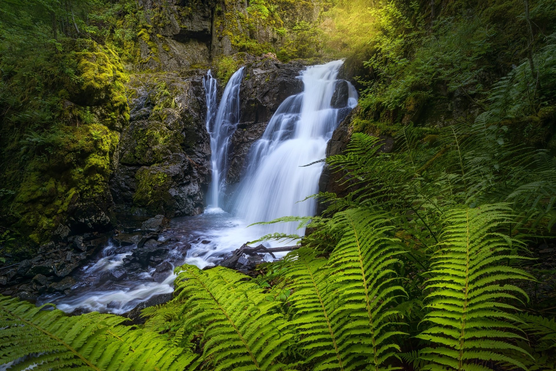 Hidden Norwegian Fern Waterfall — HD Nature Wallpaper | 2048x1367 ...