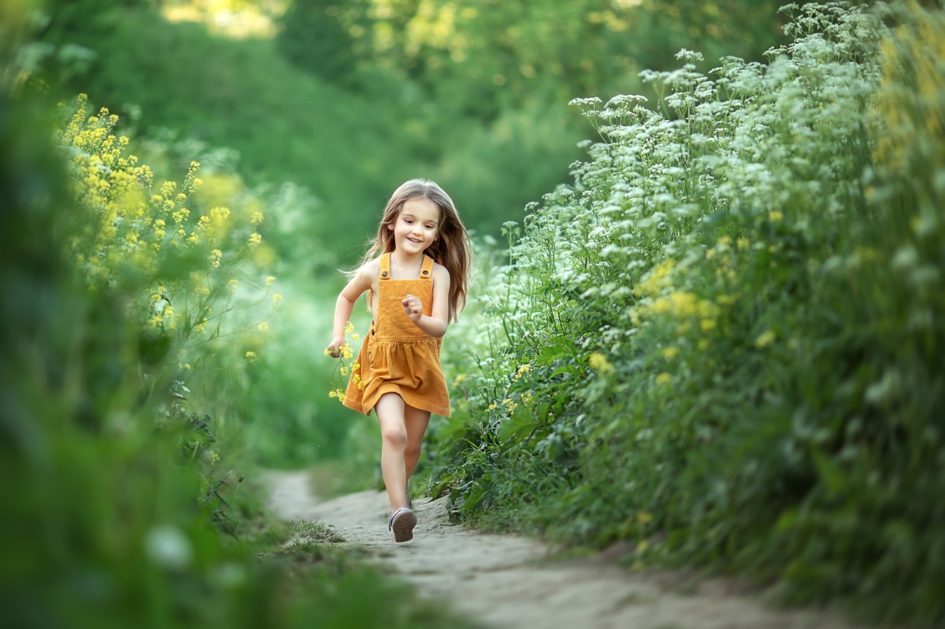Download Path Hair Photography Child HD Wallpaper