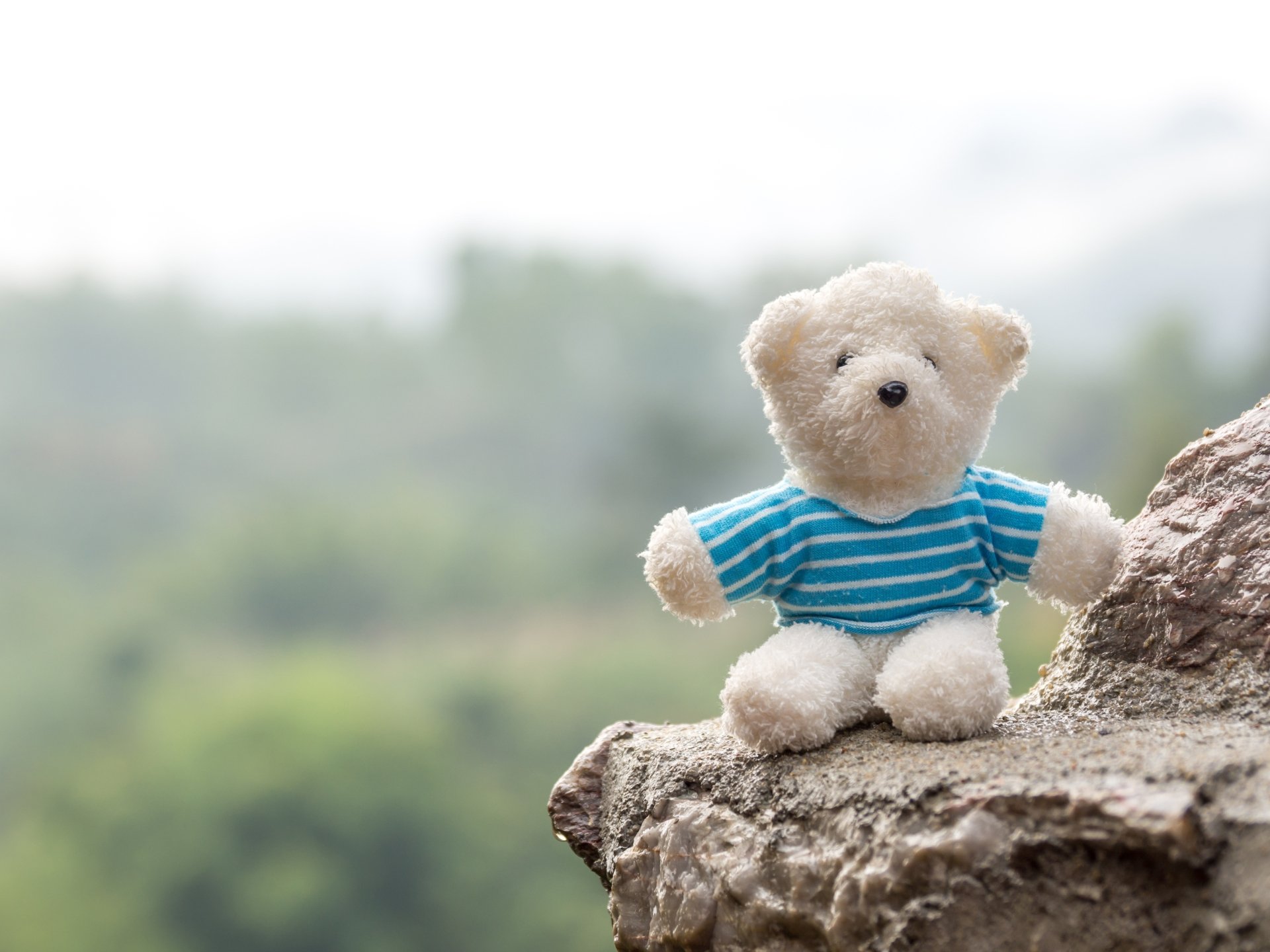 Download Teddy Bear Man Made Stuffed Animal 4k Ultra HD Wallpaper