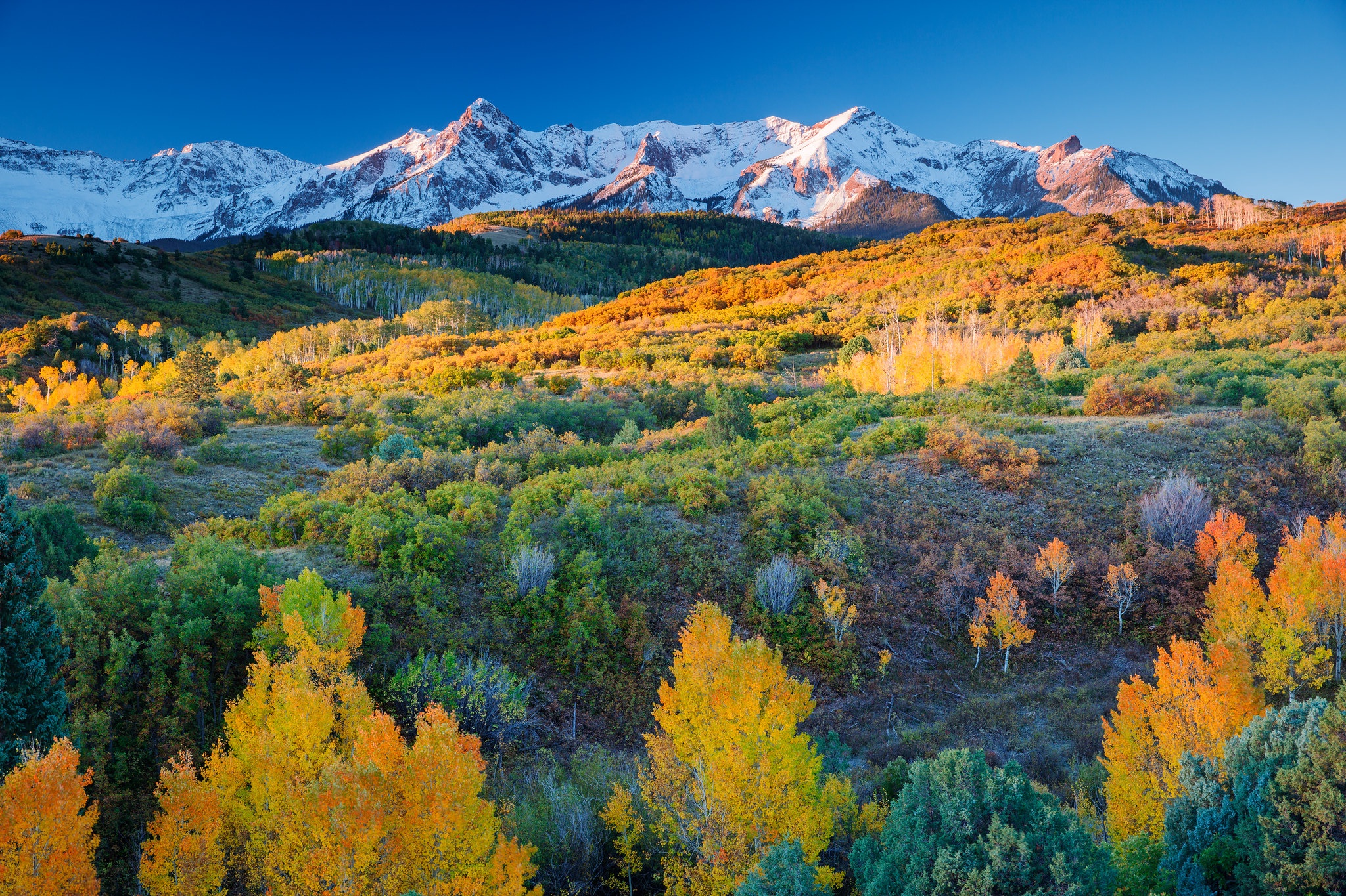 Download Landscape Nature Forest Fall Mountain HD Wallpaper