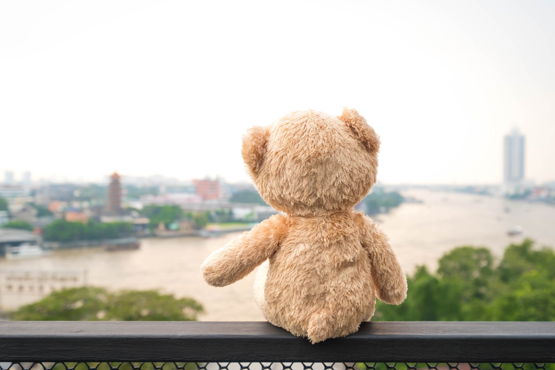 Download Teddy Bear Man Made Stuffed Animal 4k Ultra HD Wallpaper
