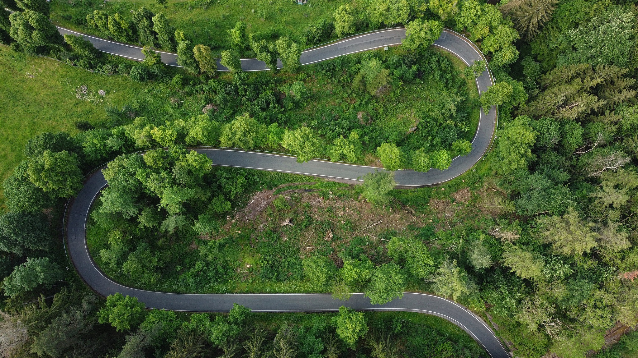 Download Nature Forest Road Photography Aerial HD Wallpaper