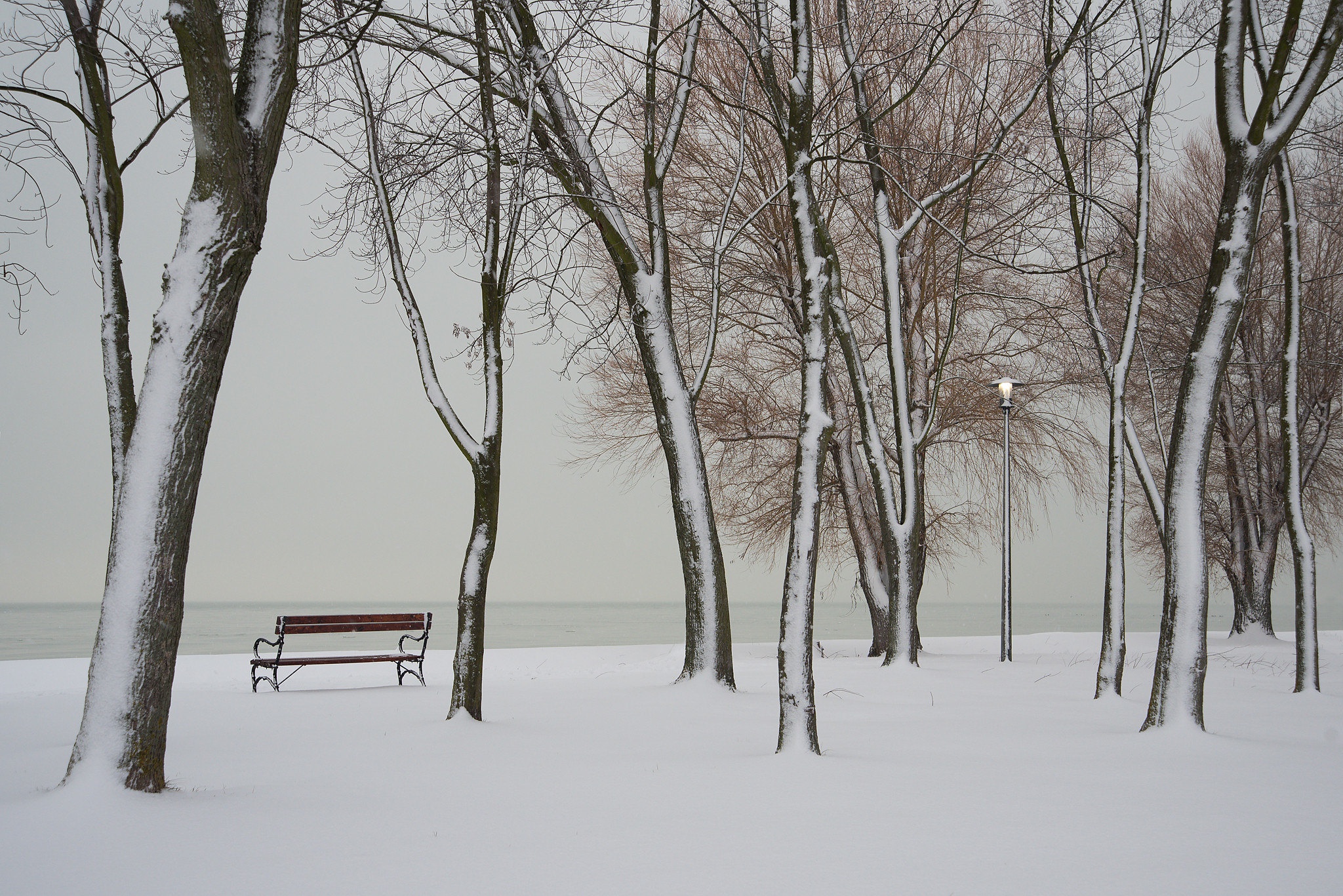 Download Snow Winter Man Made Bench HD Wallpaper