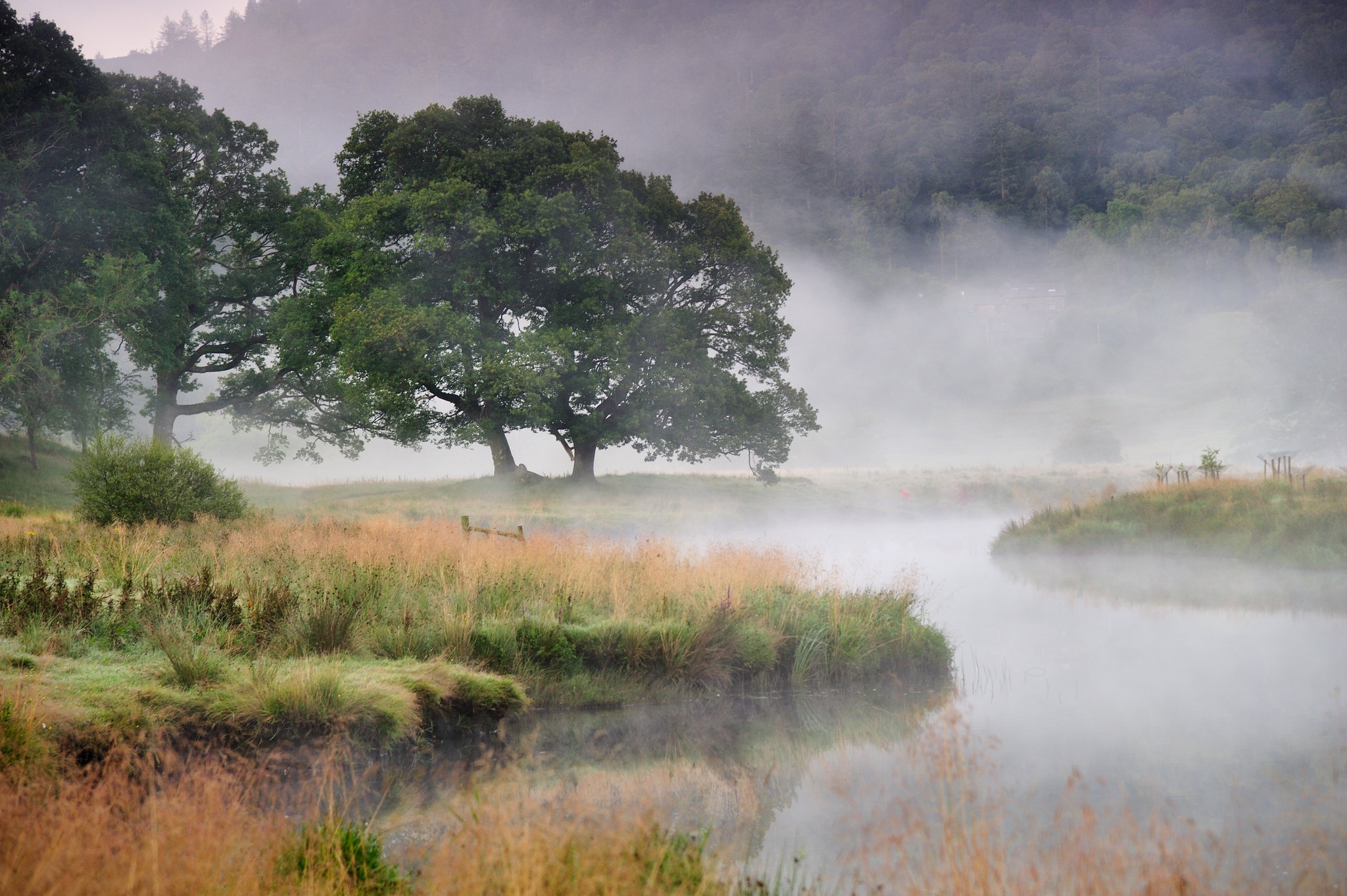 Download Fog Nature River HD Wallpaper
