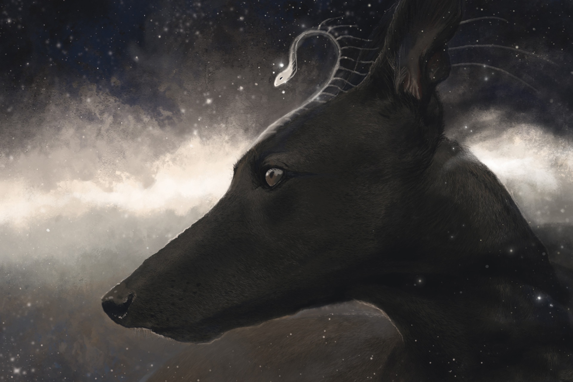 Download Creature Dog Fantasy Animal Fantasy Animal HD Wallpaper