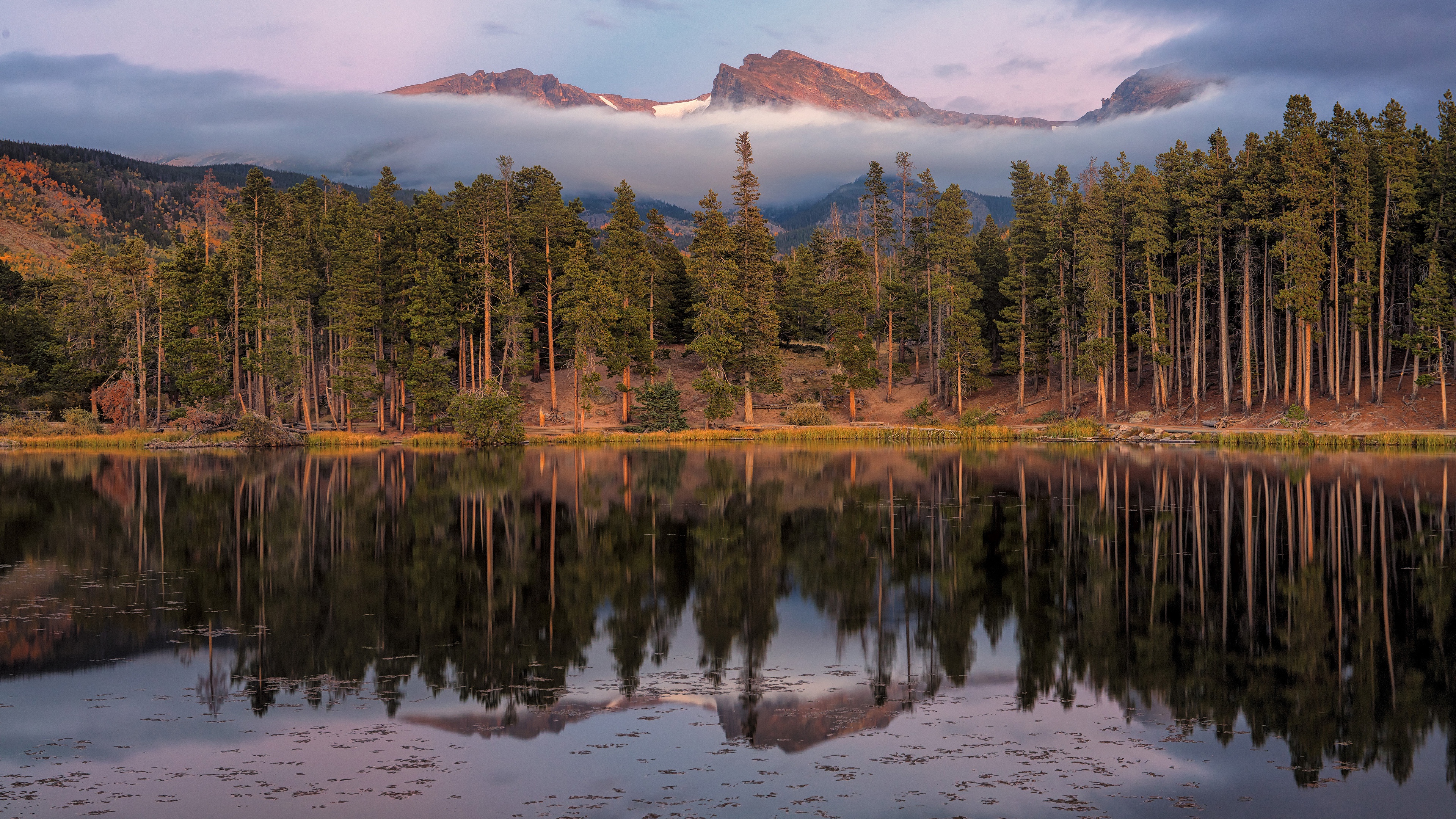 Download Pine Tree Fir Tree Lake Fog Mountain Nature Reflection 4k ...