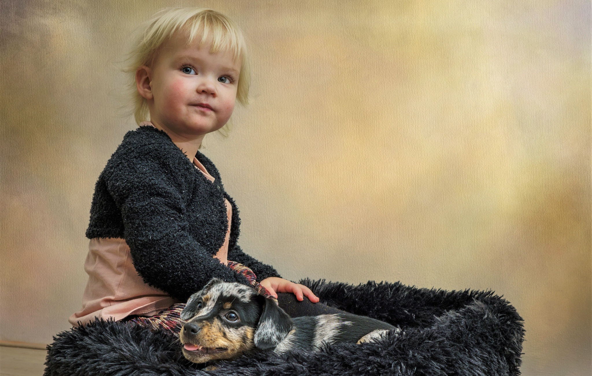 Download Dog Photography Child HD Wallpaper