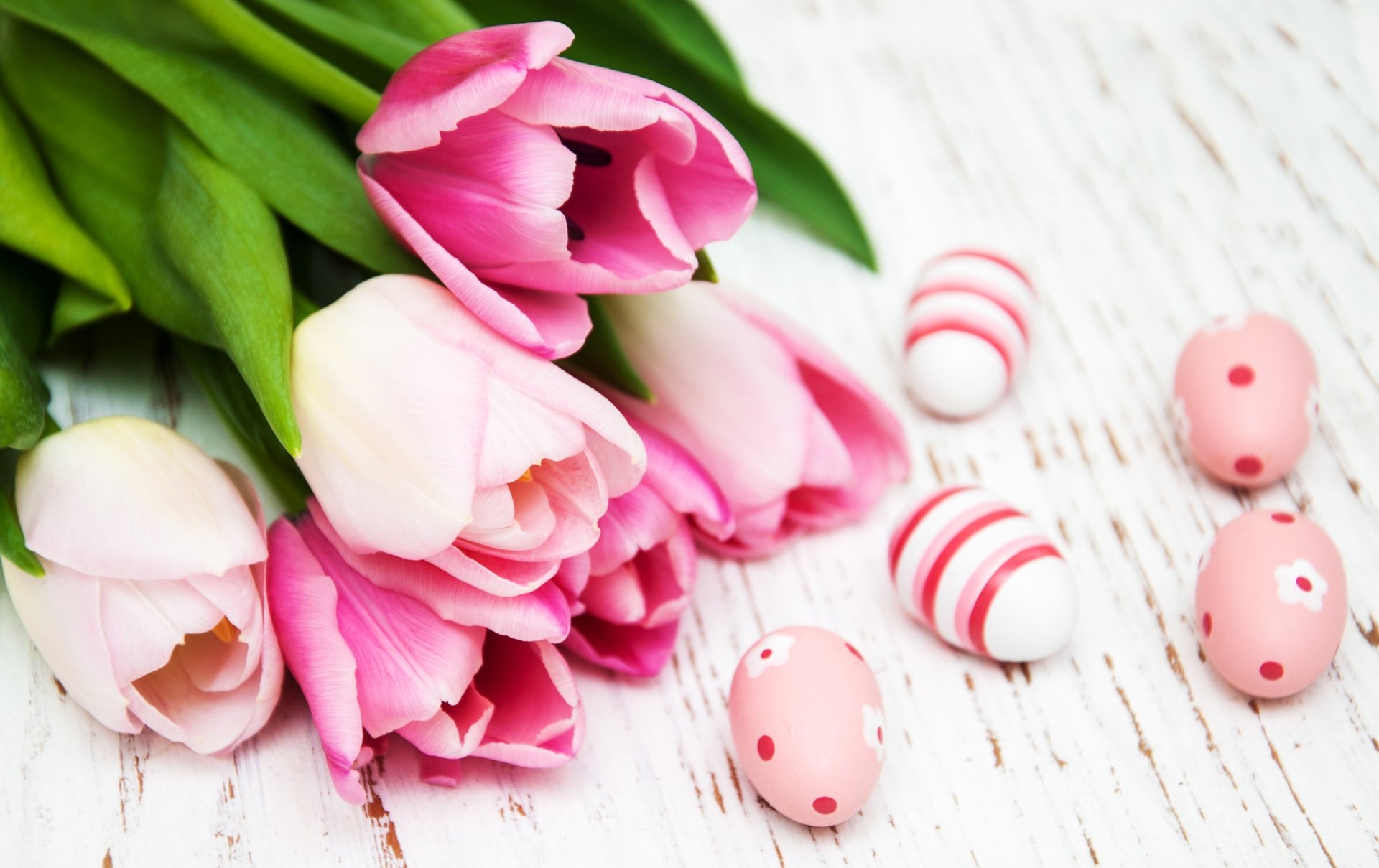 Download Easter Egg Pink Flower Tulip Flower Holiday Easter 4k Ultra HD ...