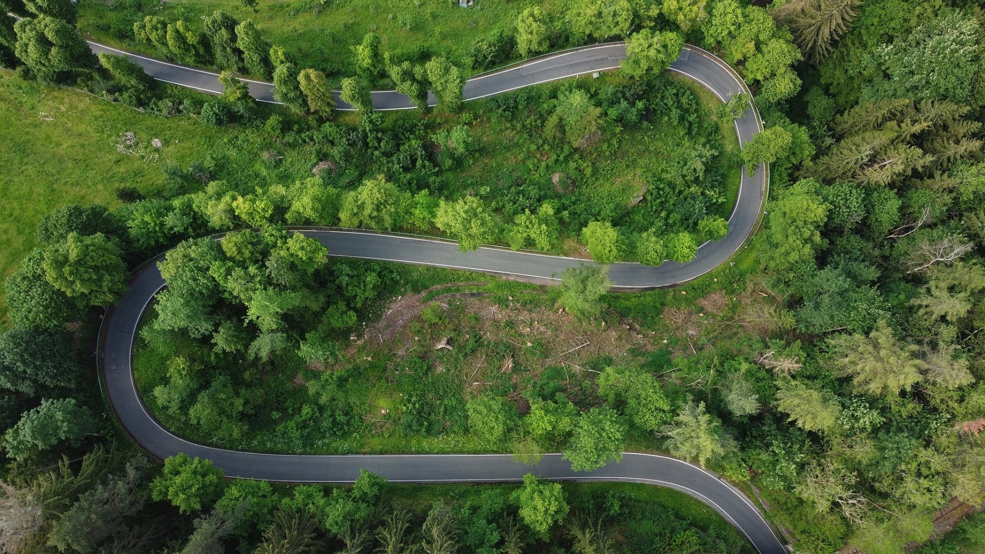 Download Nature Forest Road Photography Aerial HD Wallpaper