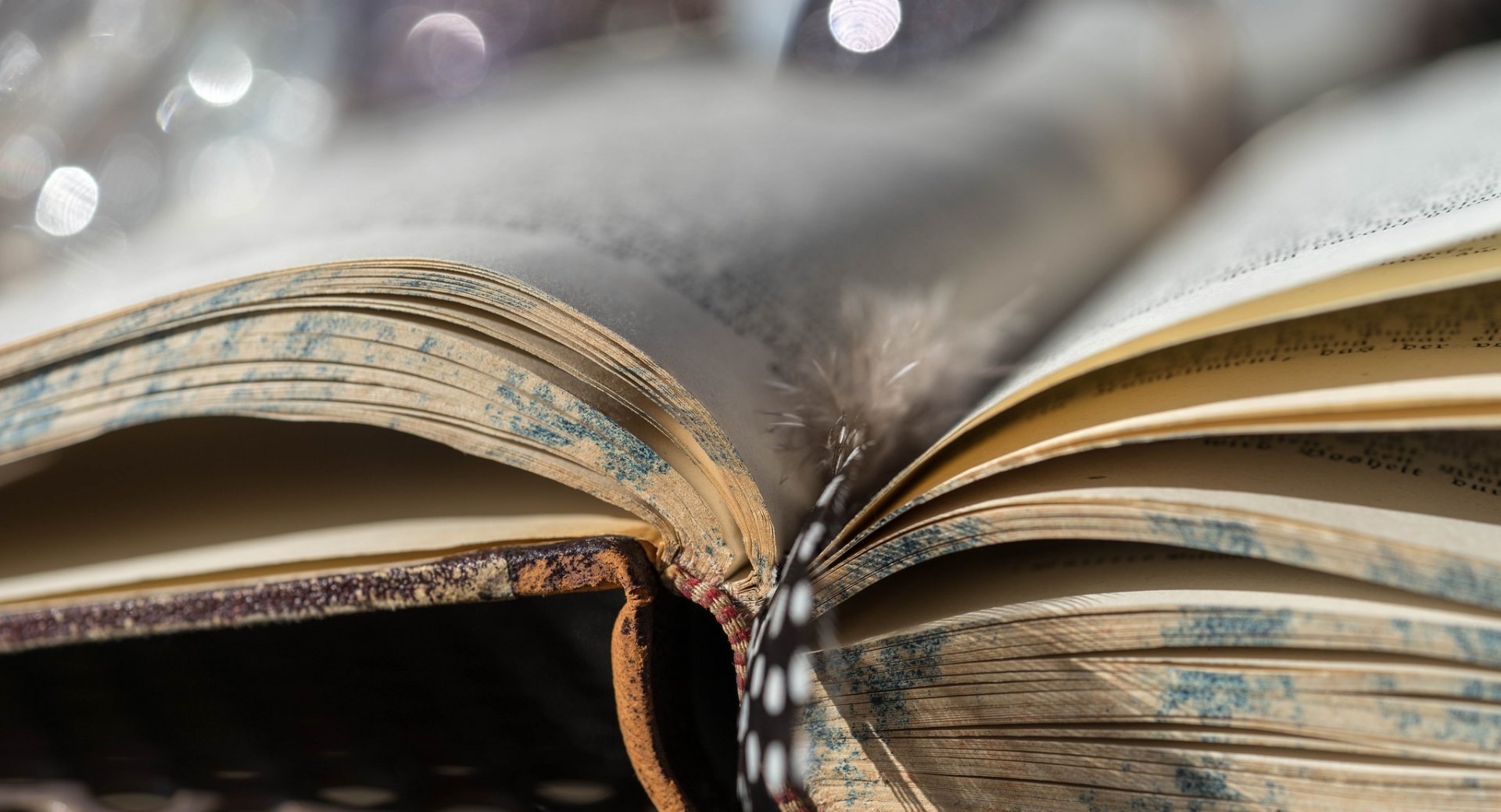 Download Close-up Macro Man Made Book HD Wallpaper | 2048x1108 ...