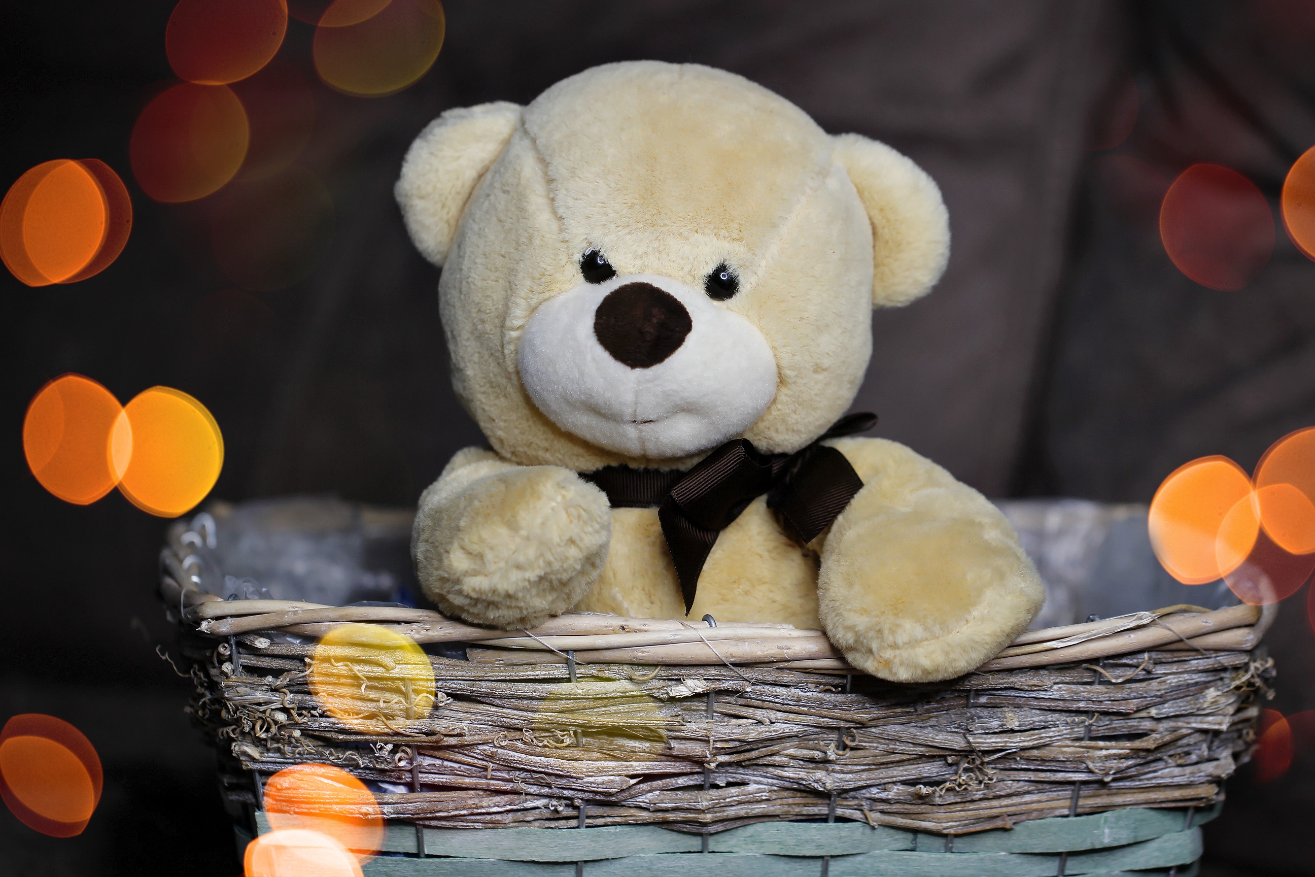 Download Teddy Bear Man Made Stuffed Animal HD Wallpaper