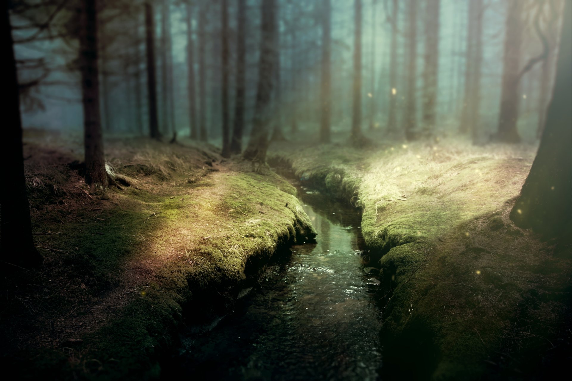 Download Water Stream Forest Nature Photography Manipulation 4k Ultra ...