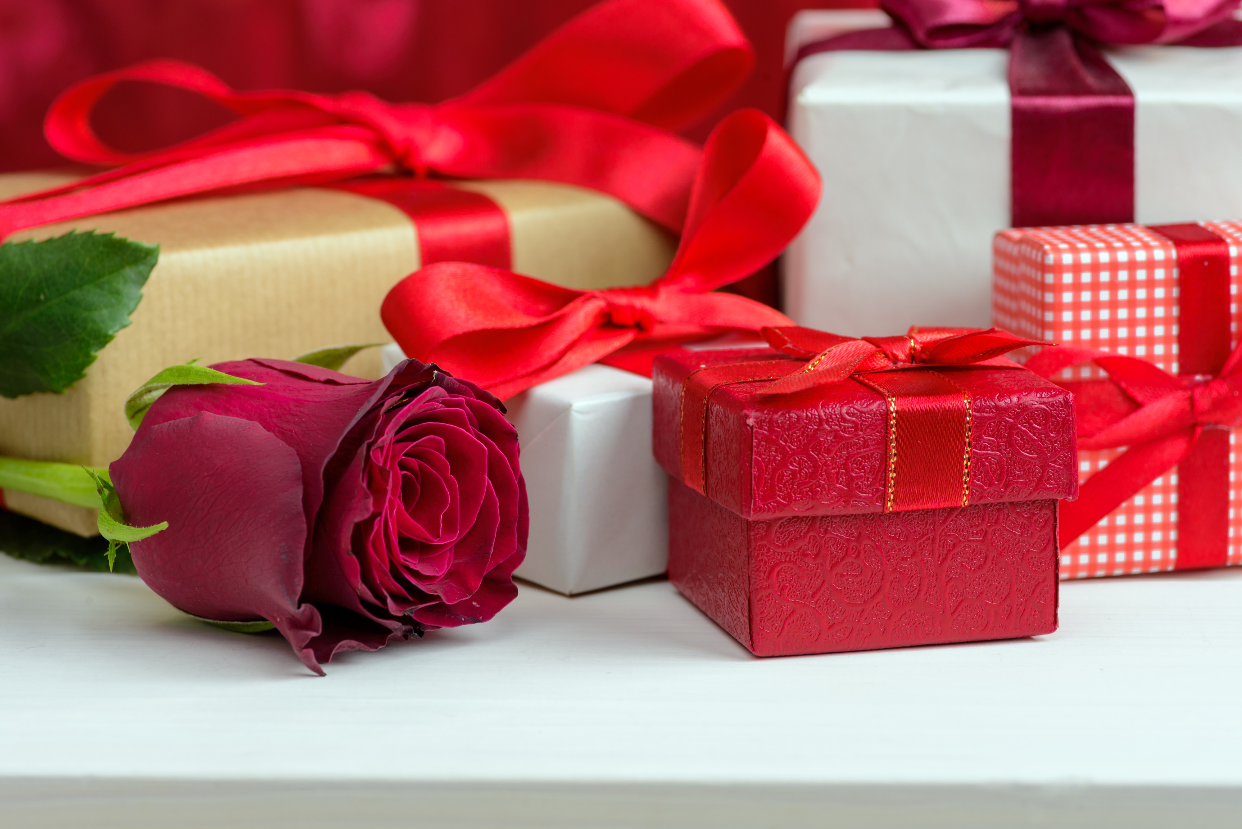 Download Rose Misc Gift 4k Ultra HD Wallpaper