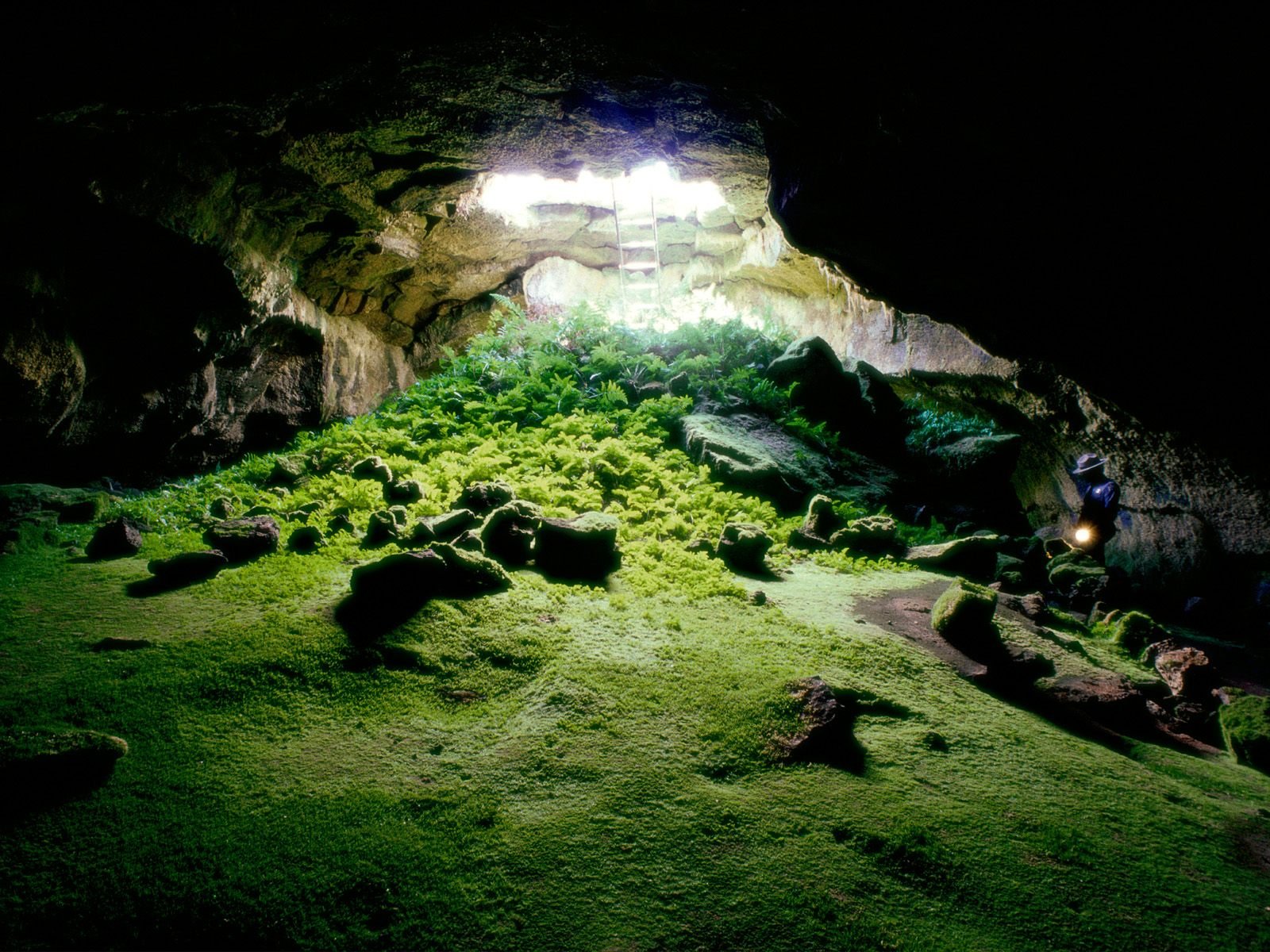 Serene Cave Oasis - HD Wallpaper