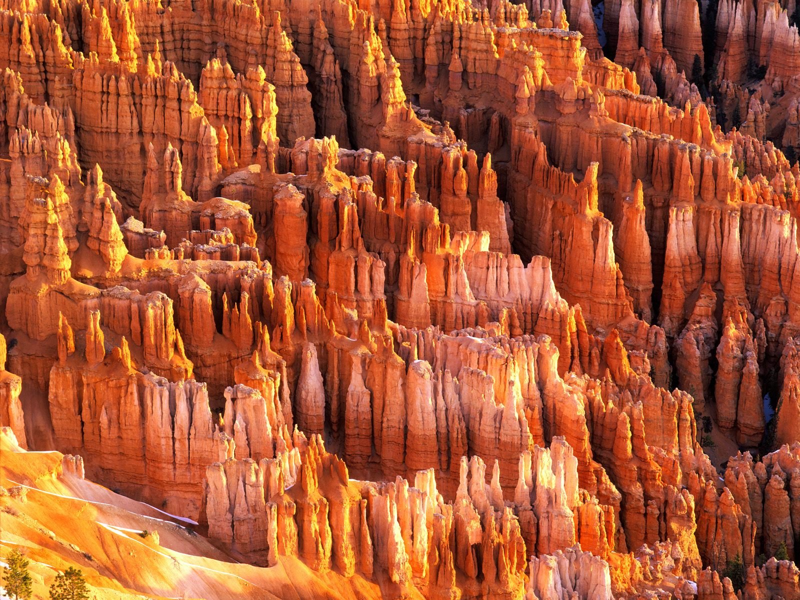 Rock Wall Wallpaper Widescreen