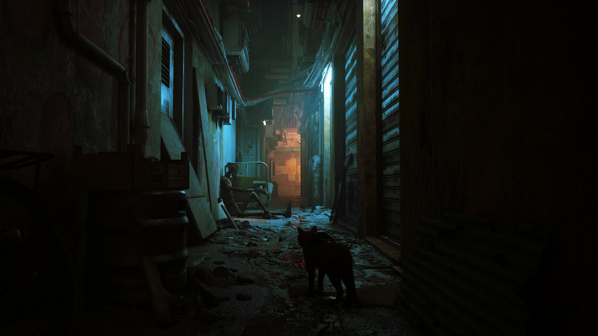 Stray — Neon Alleycat (HD Wallpaper) | 1920x1080 | Wallpaper Abyss