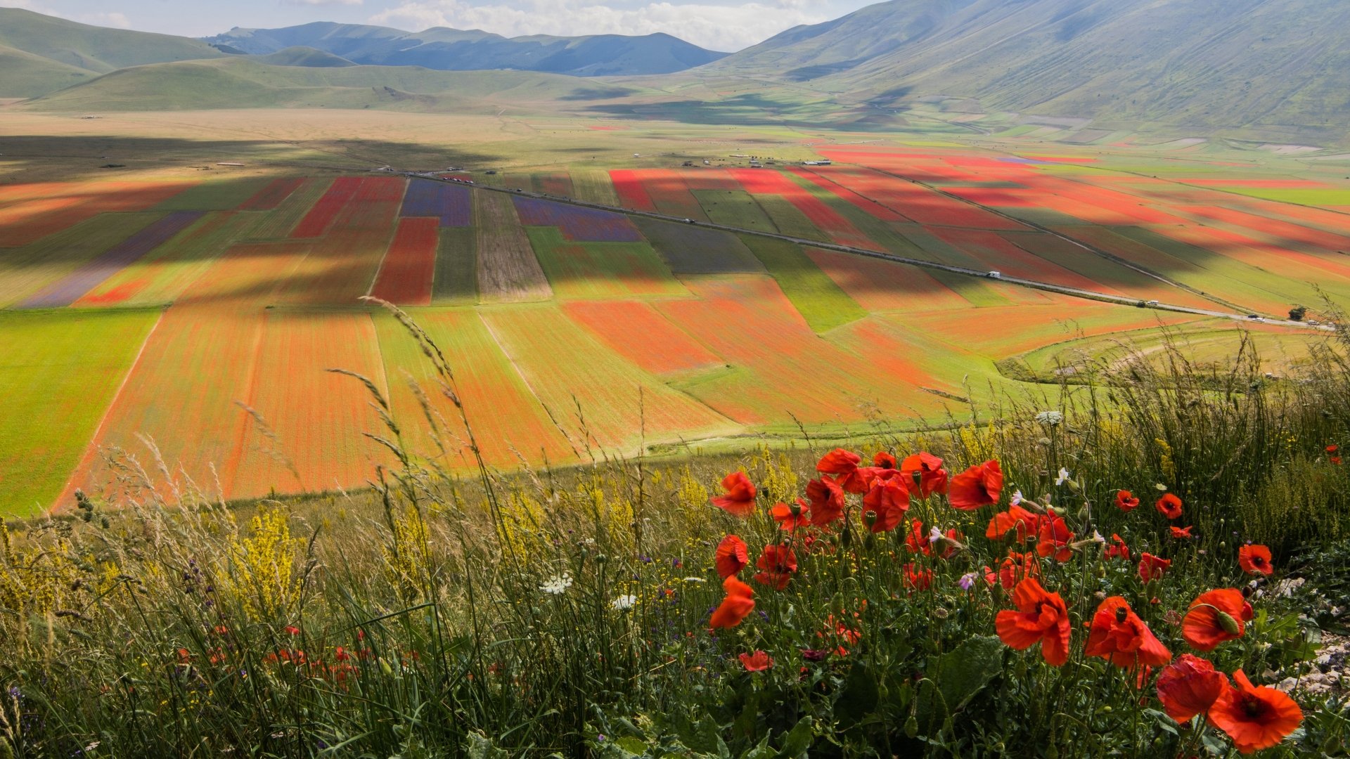 Download Landscape Summer Nature Field 4k Ultra HD Wallpaper