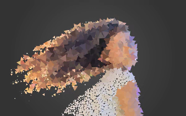 People 8k Wallpapers