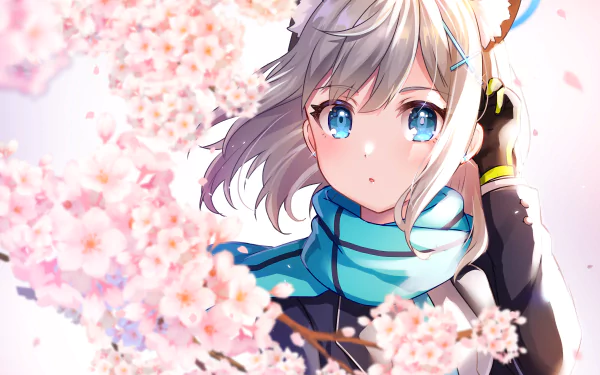 [10+] Shiroko Sunaookami 4k Wallpapers