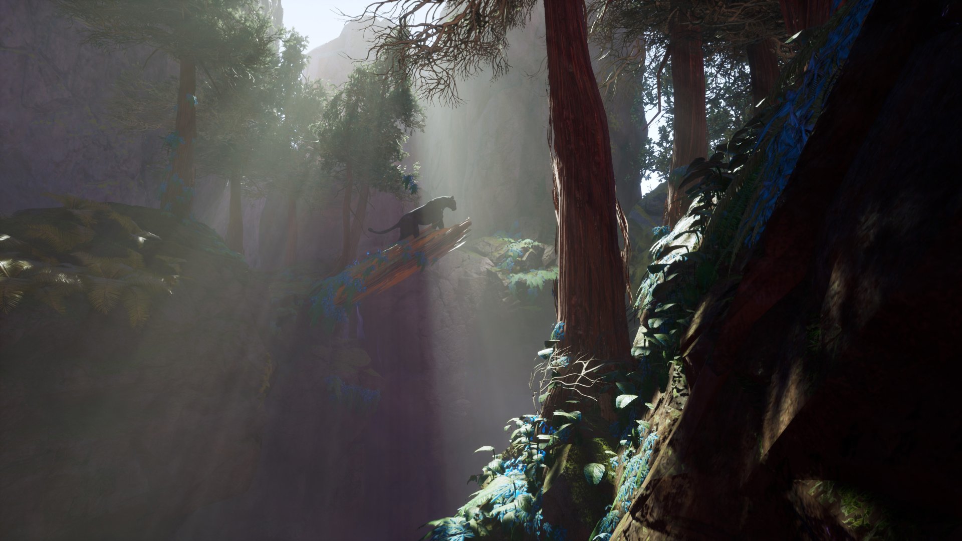 Download Panther Predator Sunbeam Tree Artistic Forest 4k Ultra HD ...