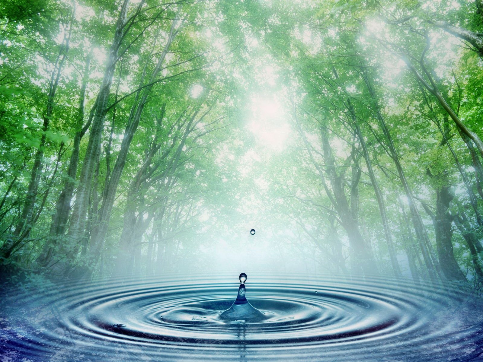 Download Artistic Water Drop Wallpaper | 1600x1200 | Wallpaper Abyss
