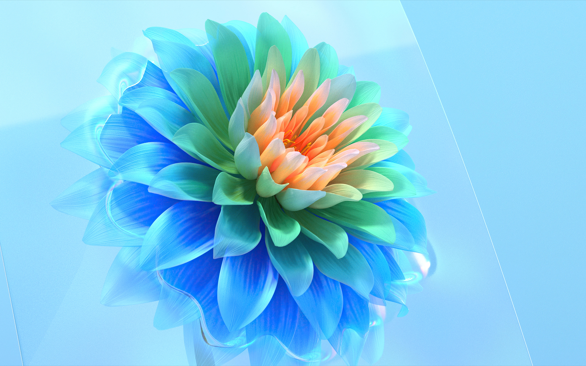Download Artistic Flower HD Wallpaper