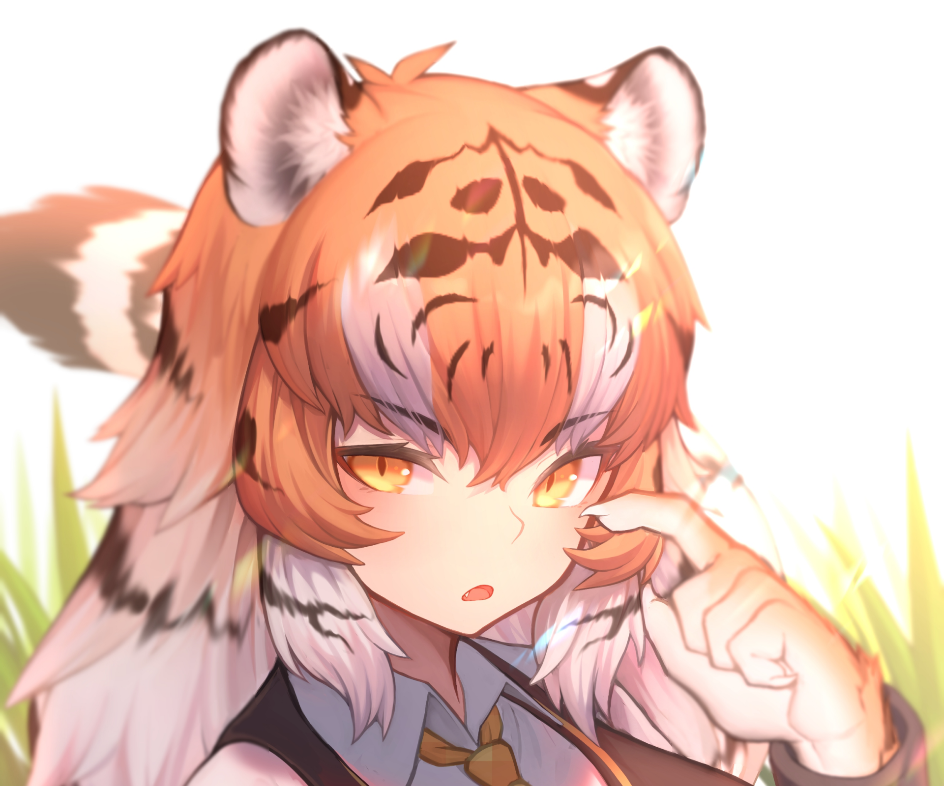 Tiger (Kemono Friends) Wallpapers