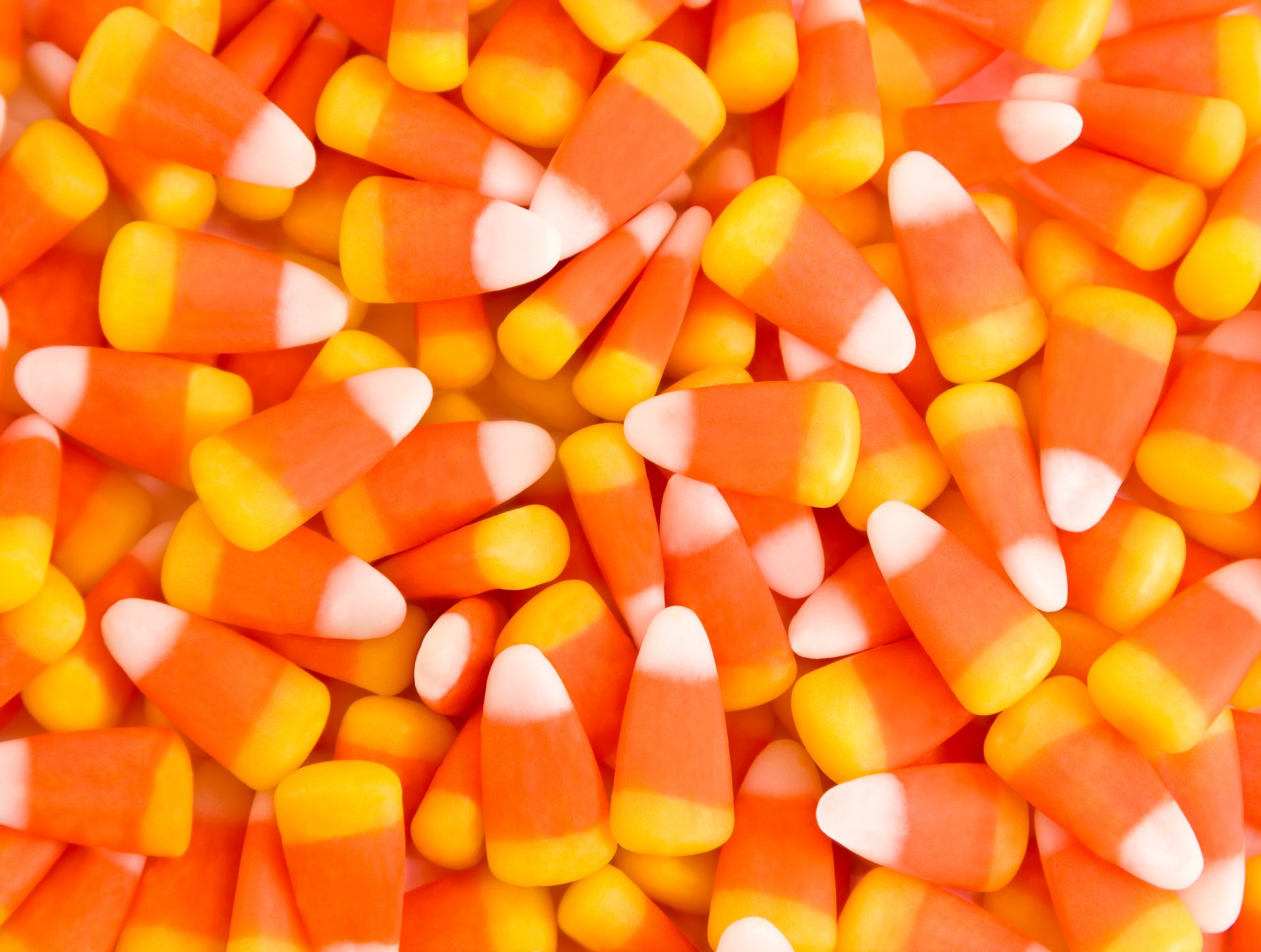 Download Gourd Food Candy Corn HD Wallpaper